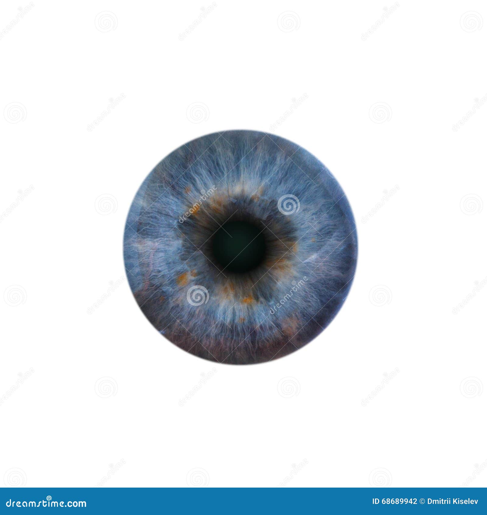Blue Pupil of the Human Eye Stock Photo - Image of sight, pupil: 68689942