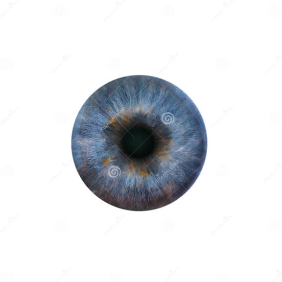 Blue Pupil of the Human Eye Stock Photo - Image of sight, pupil: 68689942