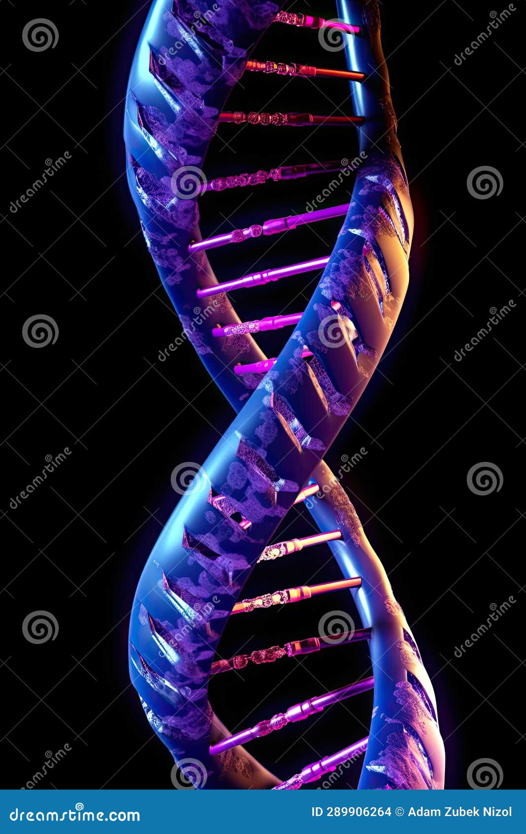A Blue and Purple Dna Model Stock Illustration - Illustration of ...