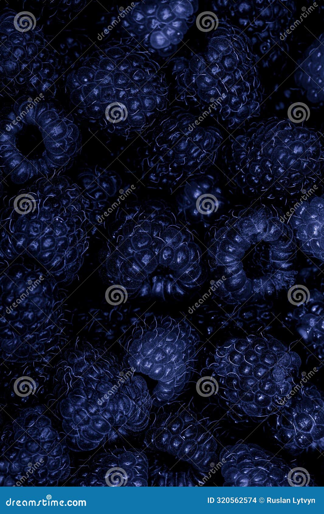 Blue-purple Raspberries Textured Background Stock Photo - Image of ...