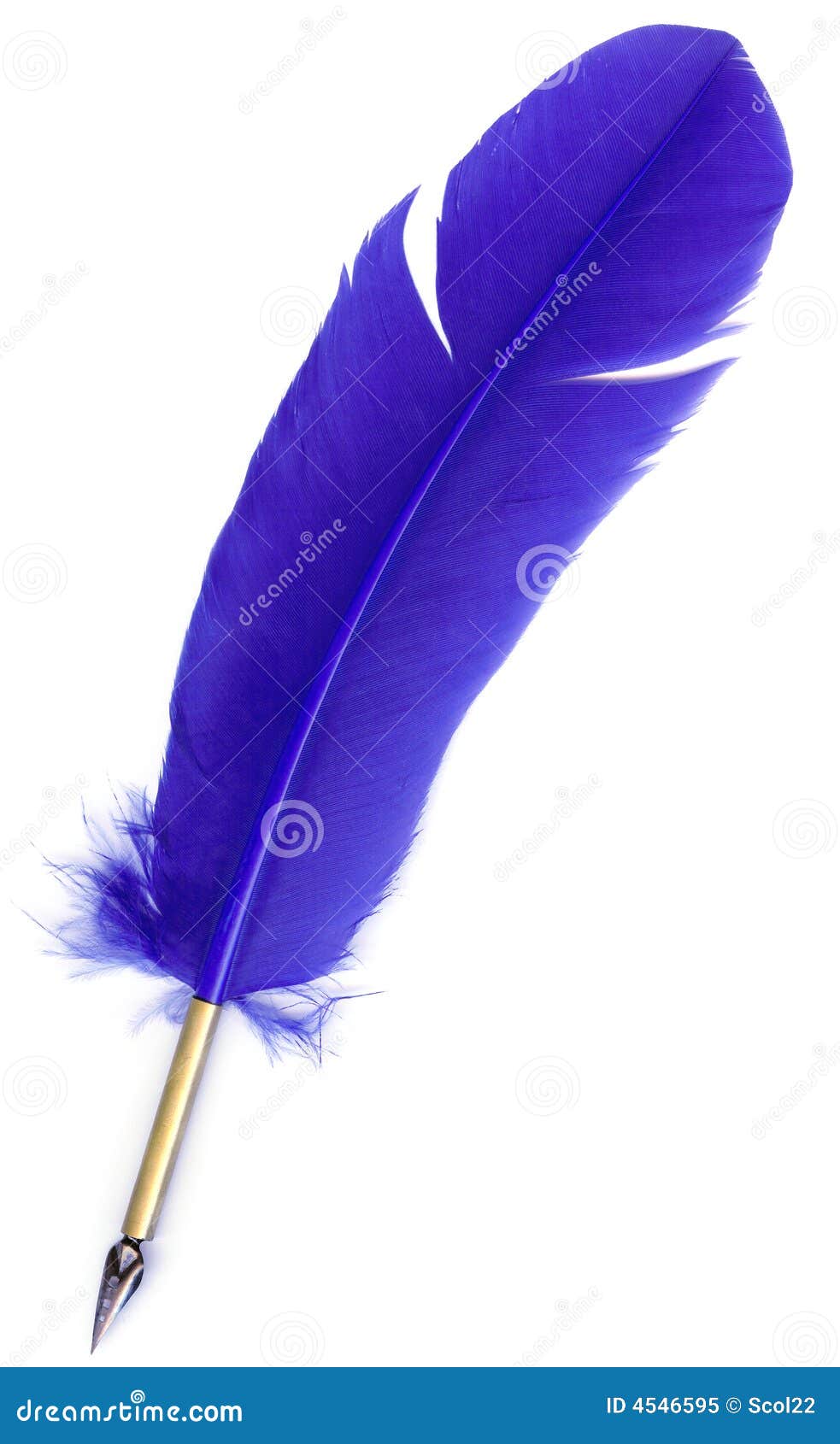 Blue Quill stock image. Image of quill, white, write, classic - 4546595