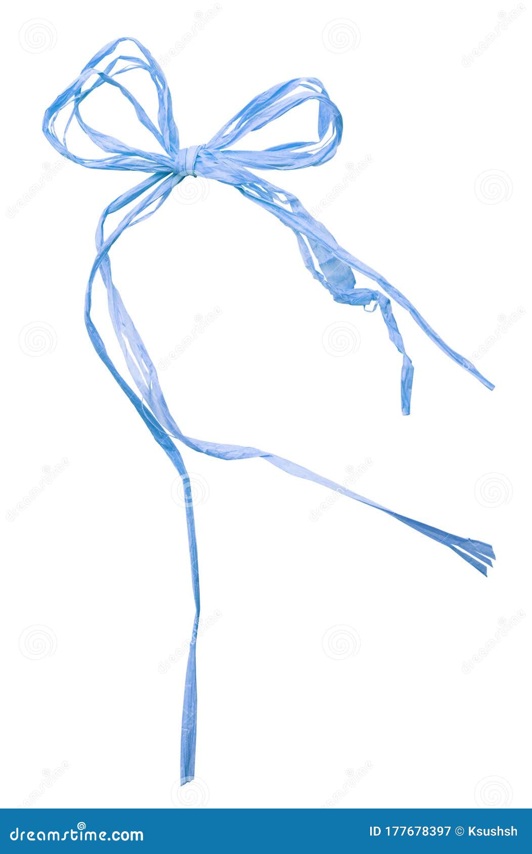 Blue raffia bow stock image. Image of decoration, tradition - 177678397