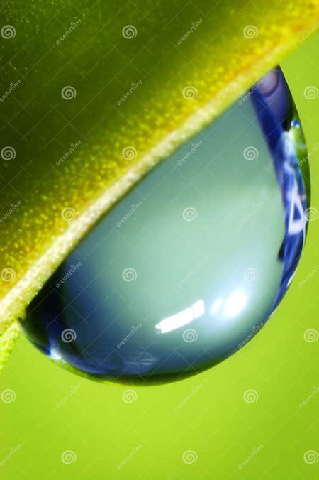 Blue rain-drop stock photo. Image of raindrop, plant, drop - 1860870