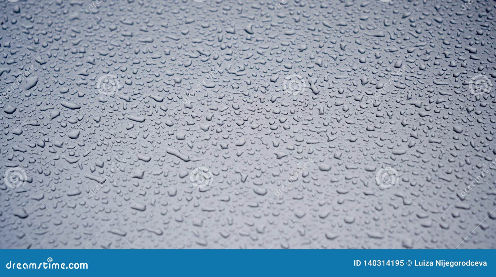 Blue rain drops stock image. Image of blue, rain, grows - 140314195