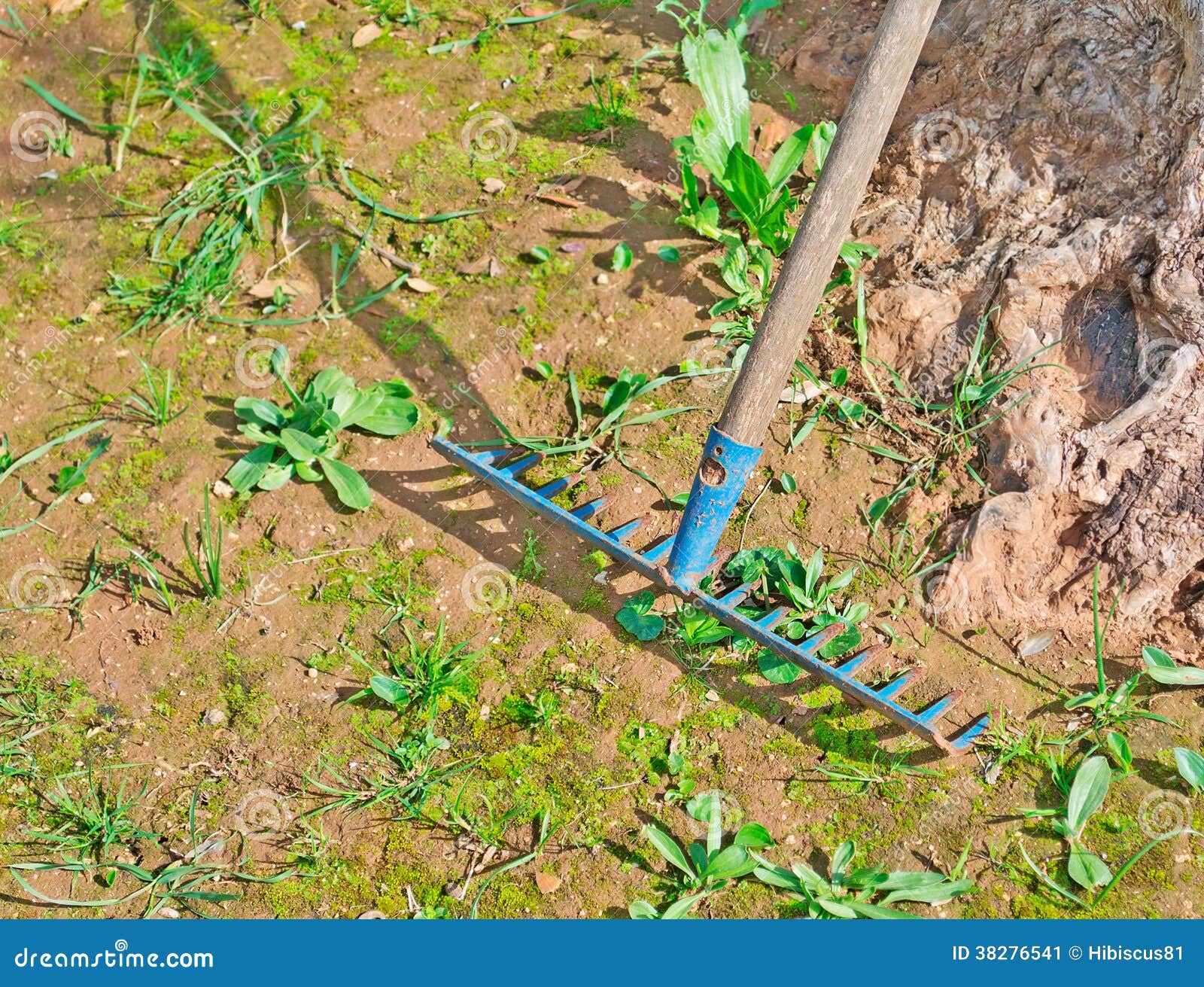 Blue rake stock image. Image of green, external, tool - 38276541