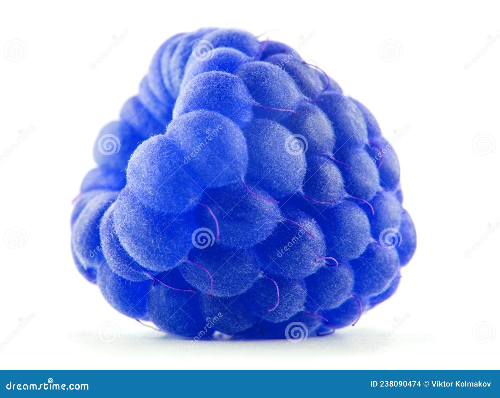 The Blue Raspberry Berry is Isolated on a White Background. Full ...