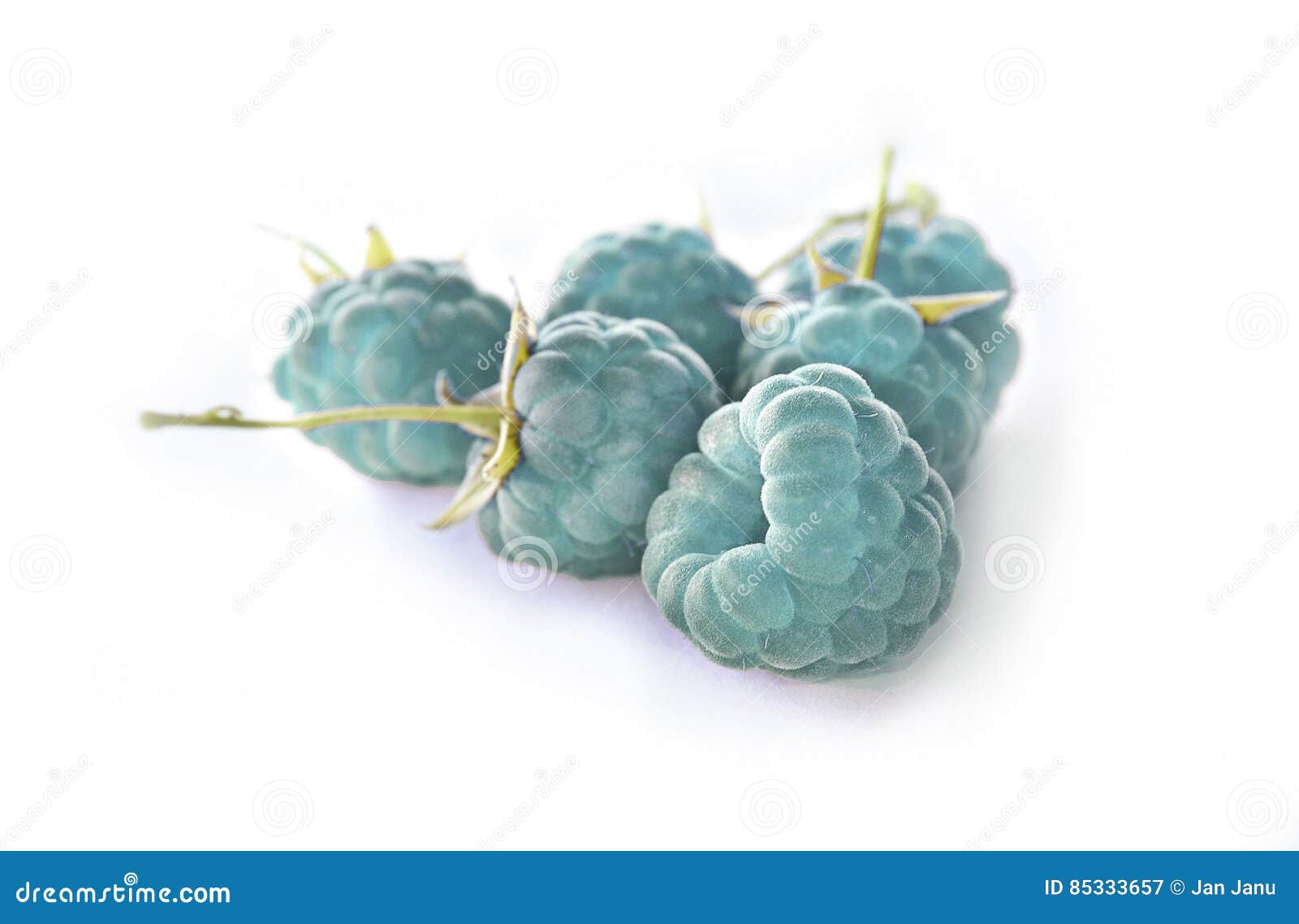 Blue raspberry stock image. Image of color, friendly - 85333657