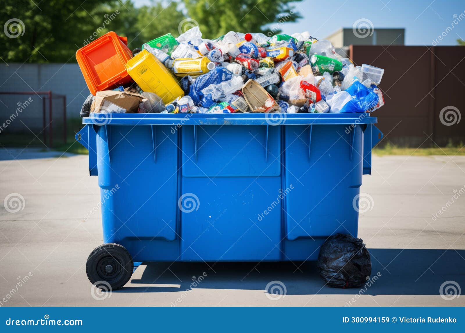 Mixed Waste, Sorting, Segregation And Separation Of Garbage Vector ...