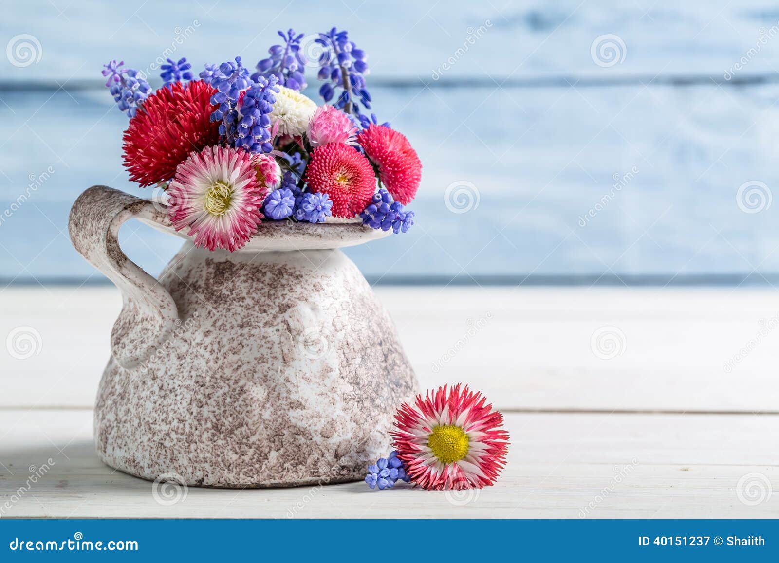Blue and Red Daisy Flower in Vase Stock Image - Image of hyacinth ...