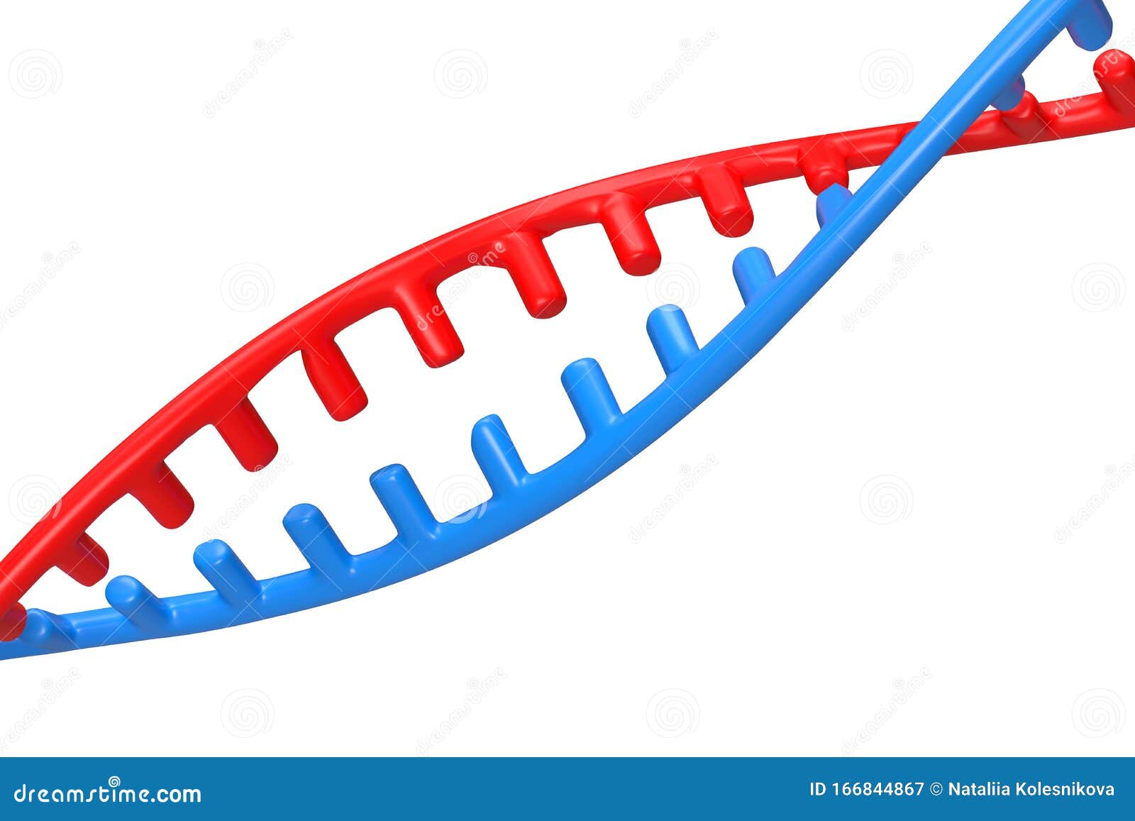 Blue and Red DNA Symbol 3d Rendering on White Background Stock ...