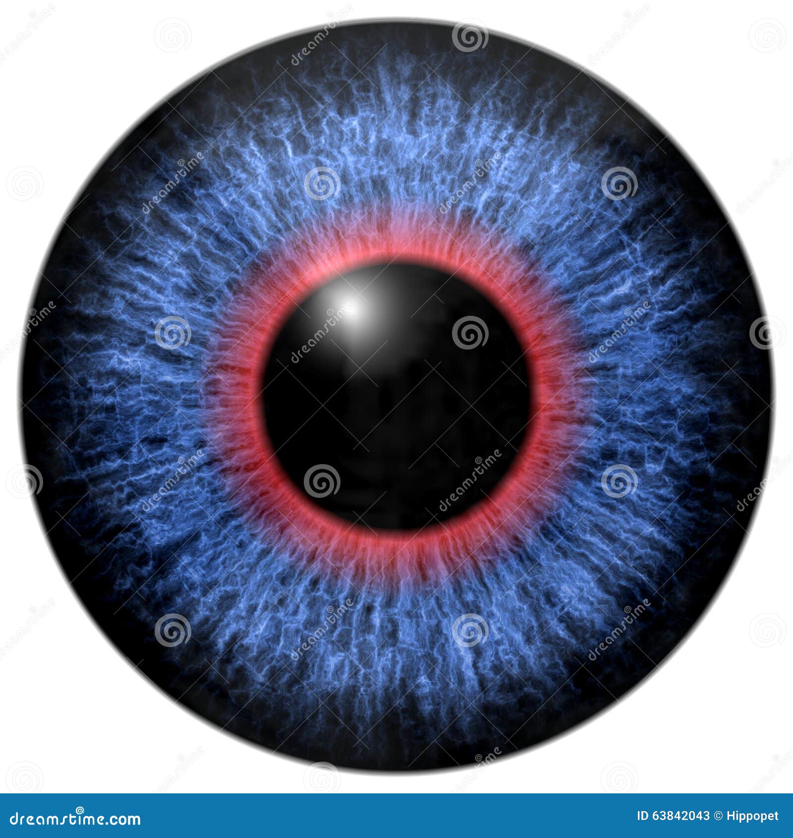 Blue - red eye iris stock illustration. Illustration of icon - 63842043