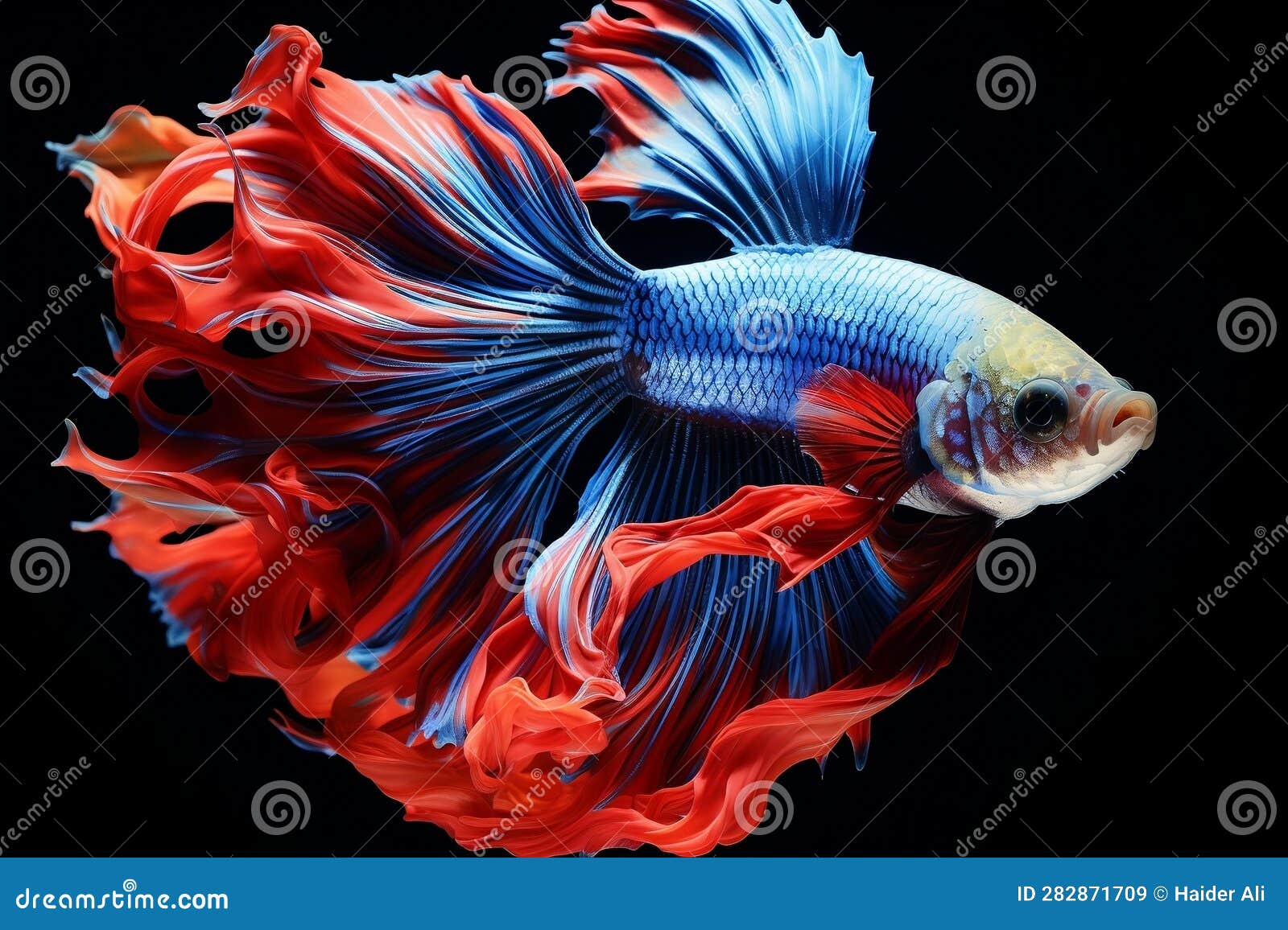 A Blue and Red Fish with Long Hair. Generative AI Stock Illustration ...