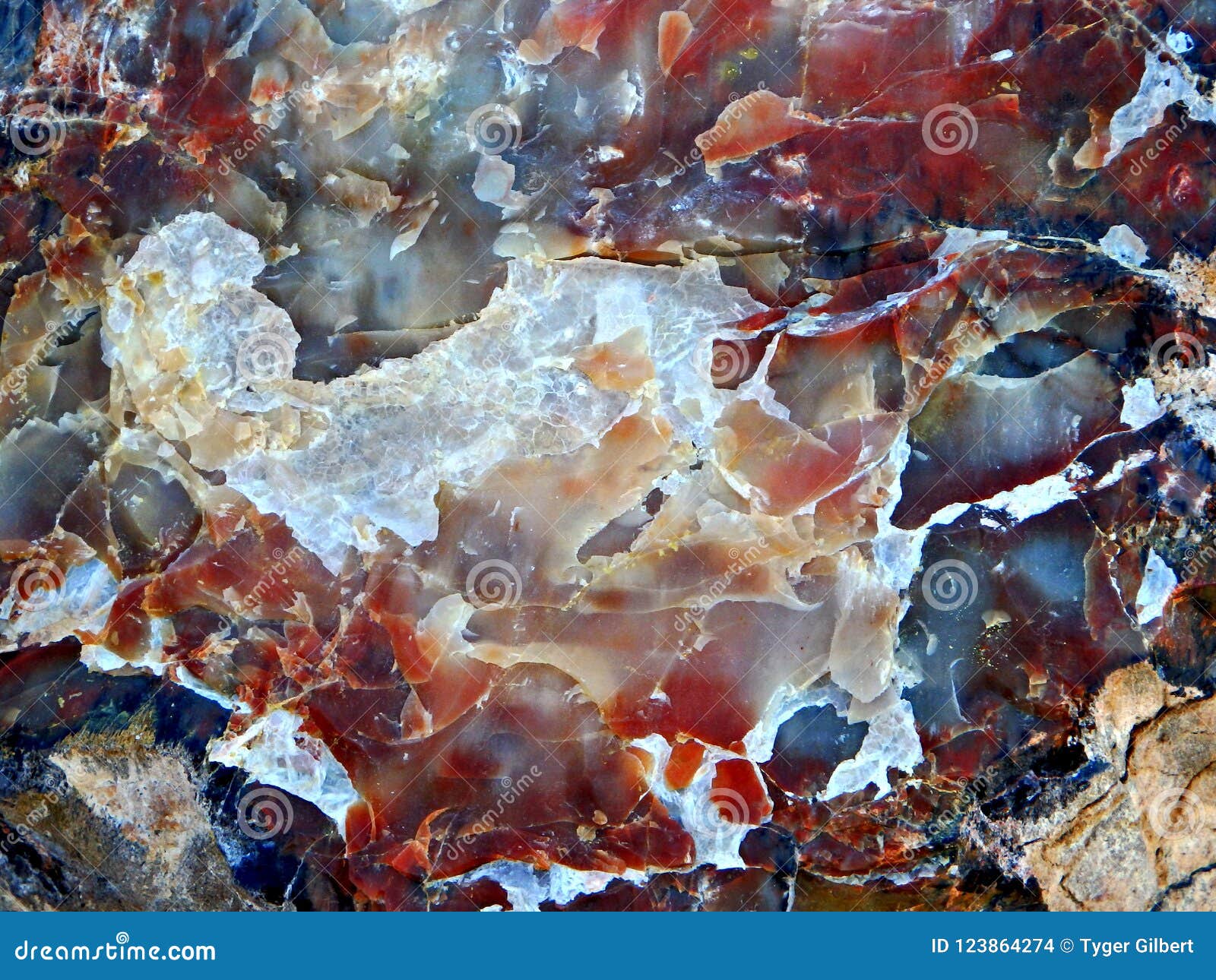 Blue and Red Jasper Agate Rock Abstract Stock Photo - Image of rock ...