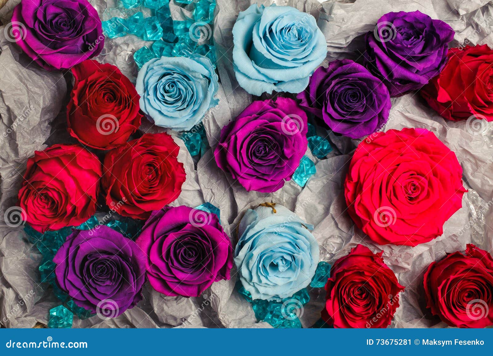 Blue , Red , Purple Colorful Roses Background Stock Image - Image of ...