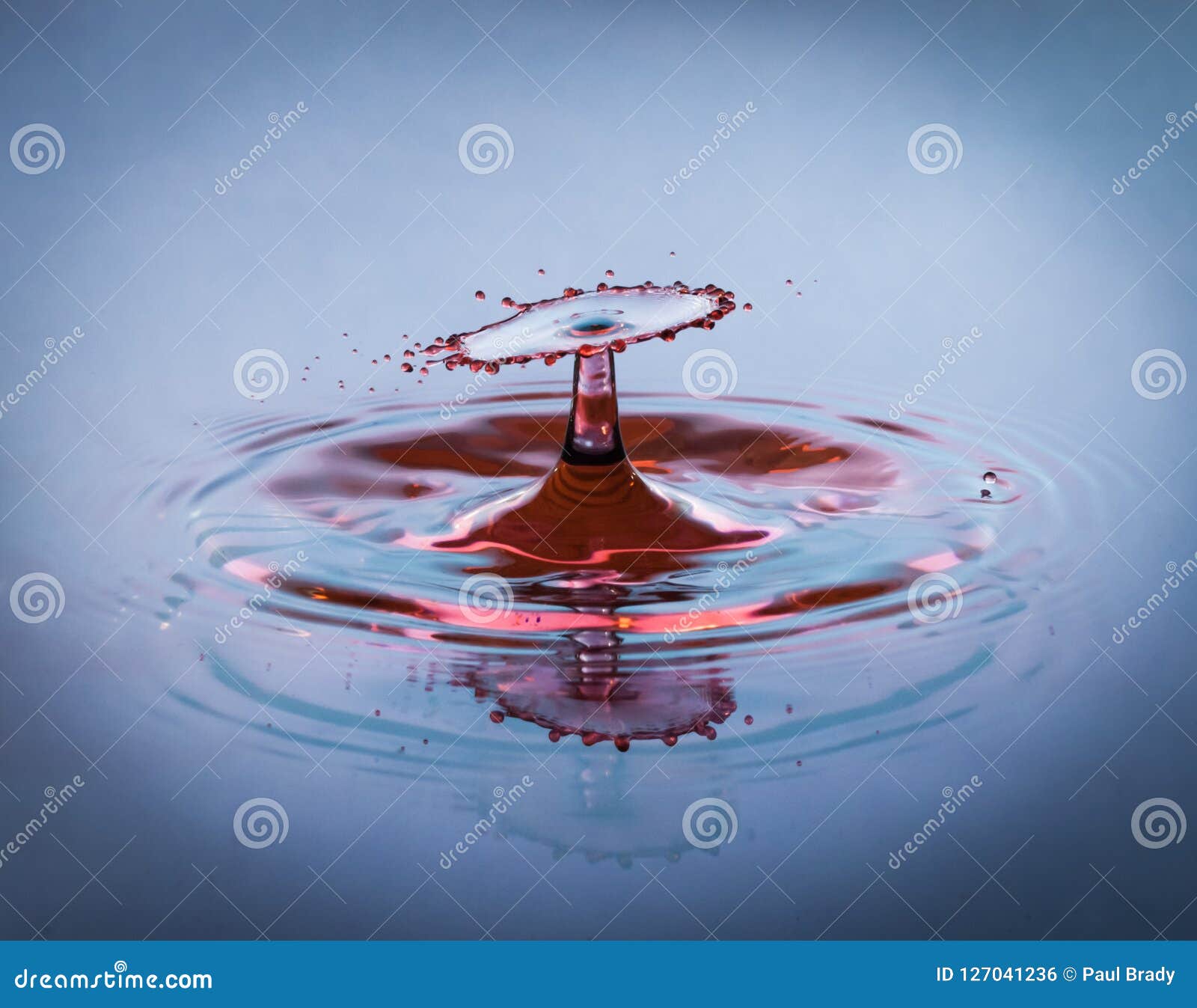 Blue and Red Water Drop Splash Stock Photo - Image of falling ...