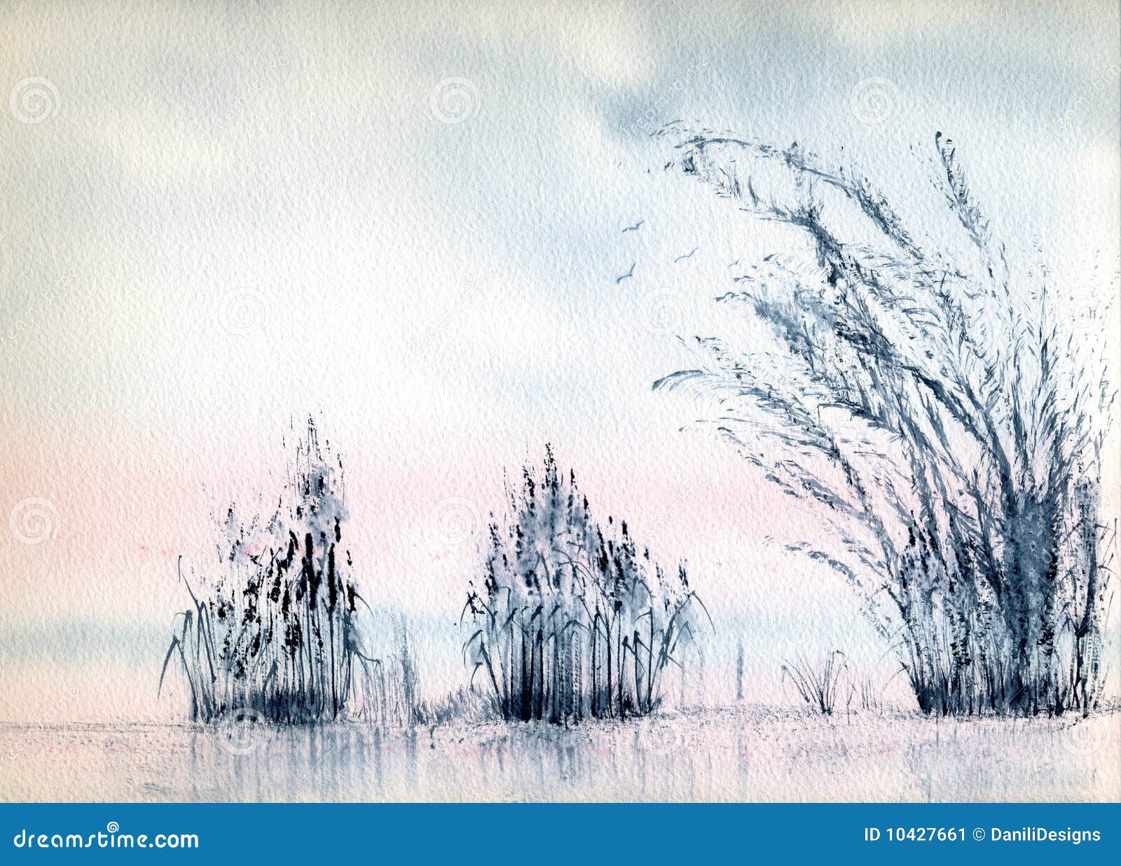 Blue Reeds stock illustration. Illustration of watercolor - 10427661