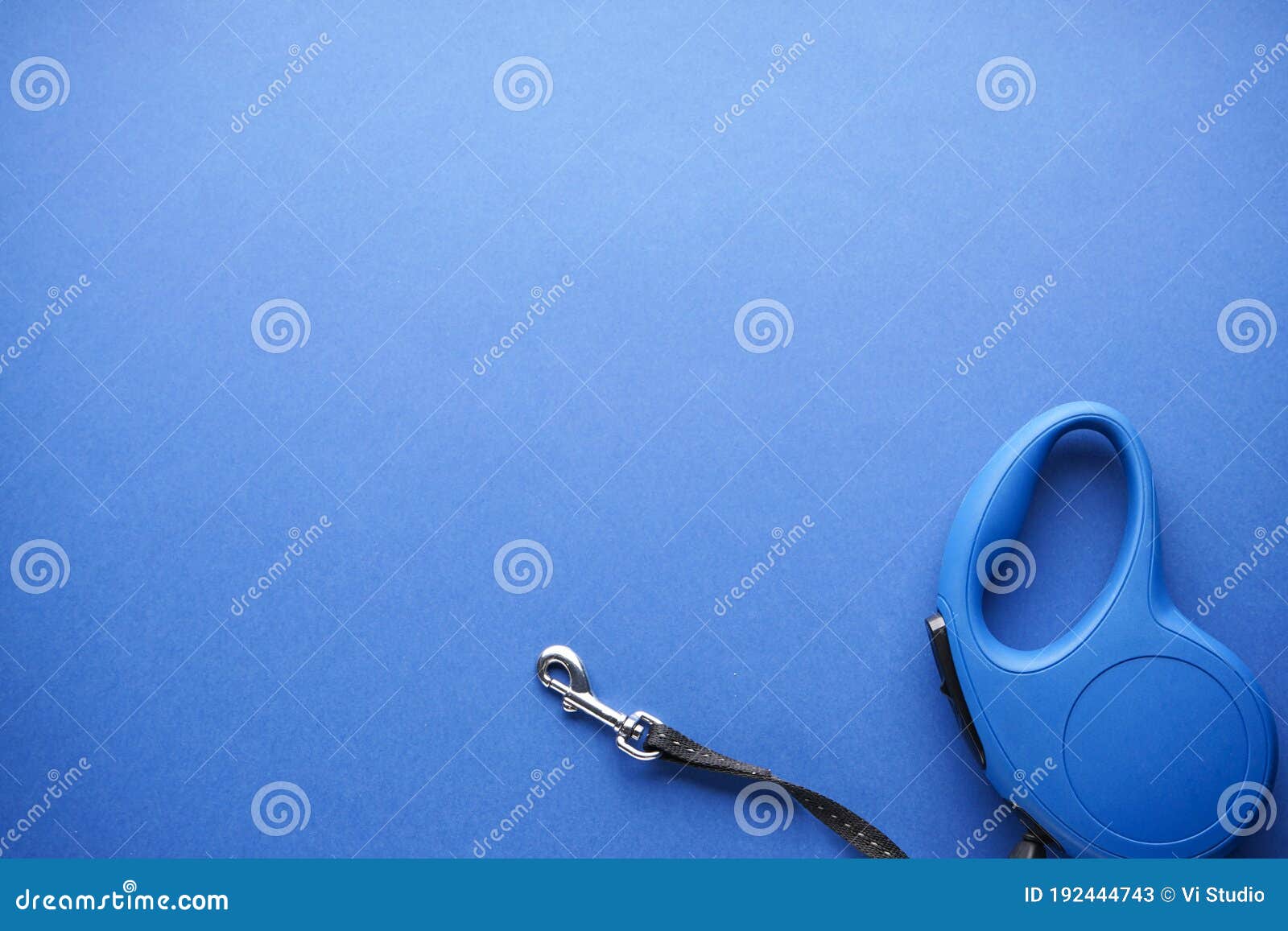 Blue Retractable Dog Leash on a Blue Background. Space for Text, Flat ...