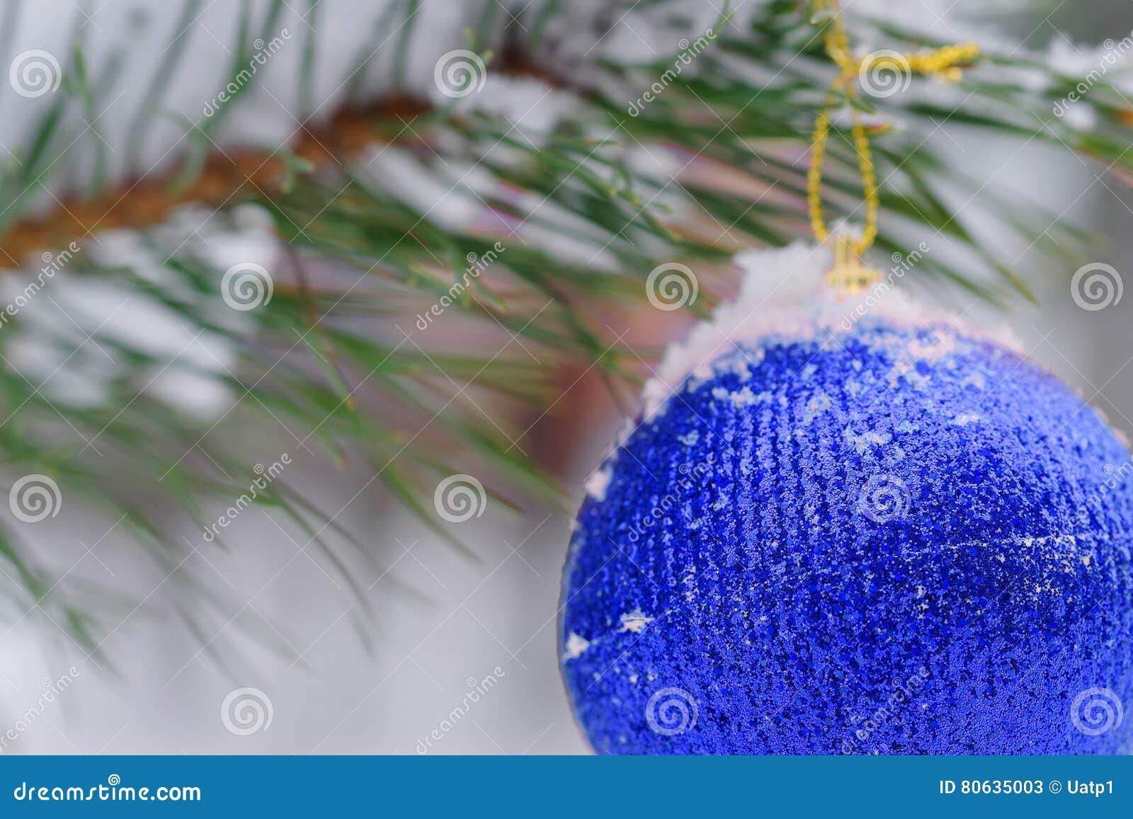 Blue Ribbon on the Christmas Tree Stock Image - Image of space, season ...