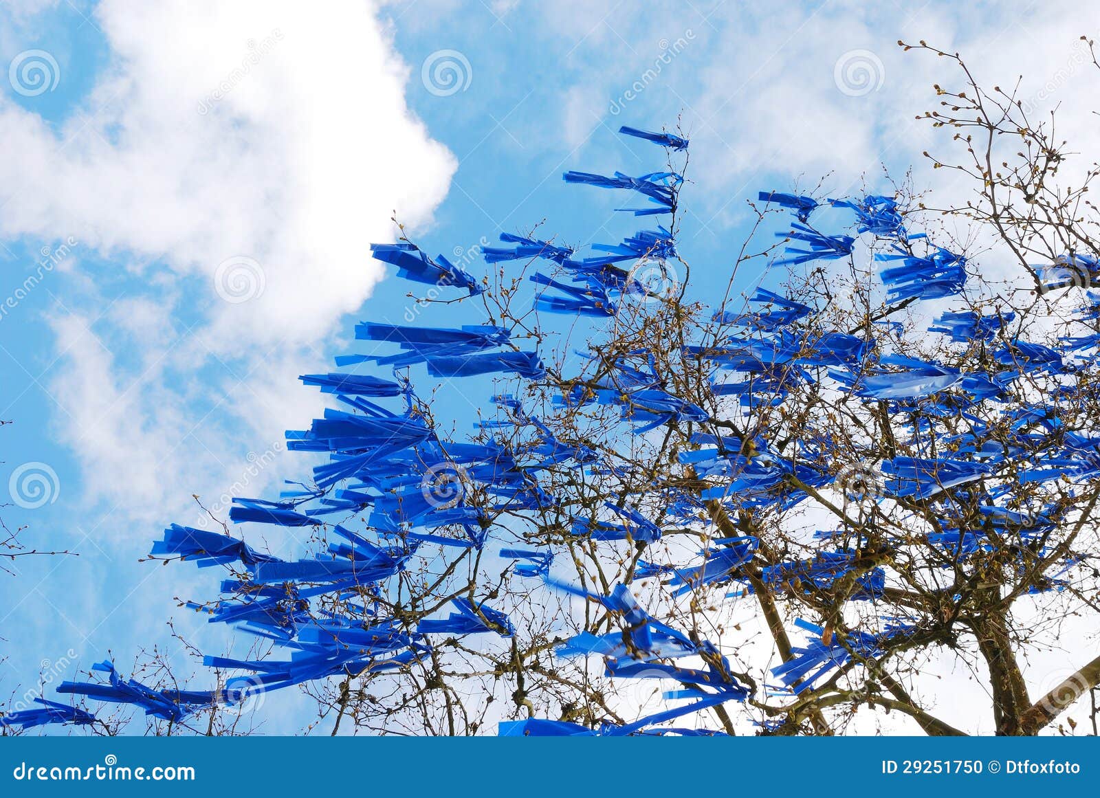 Blue Ribbons stock photo. Image of concepts, oregon, symbol - 29251750