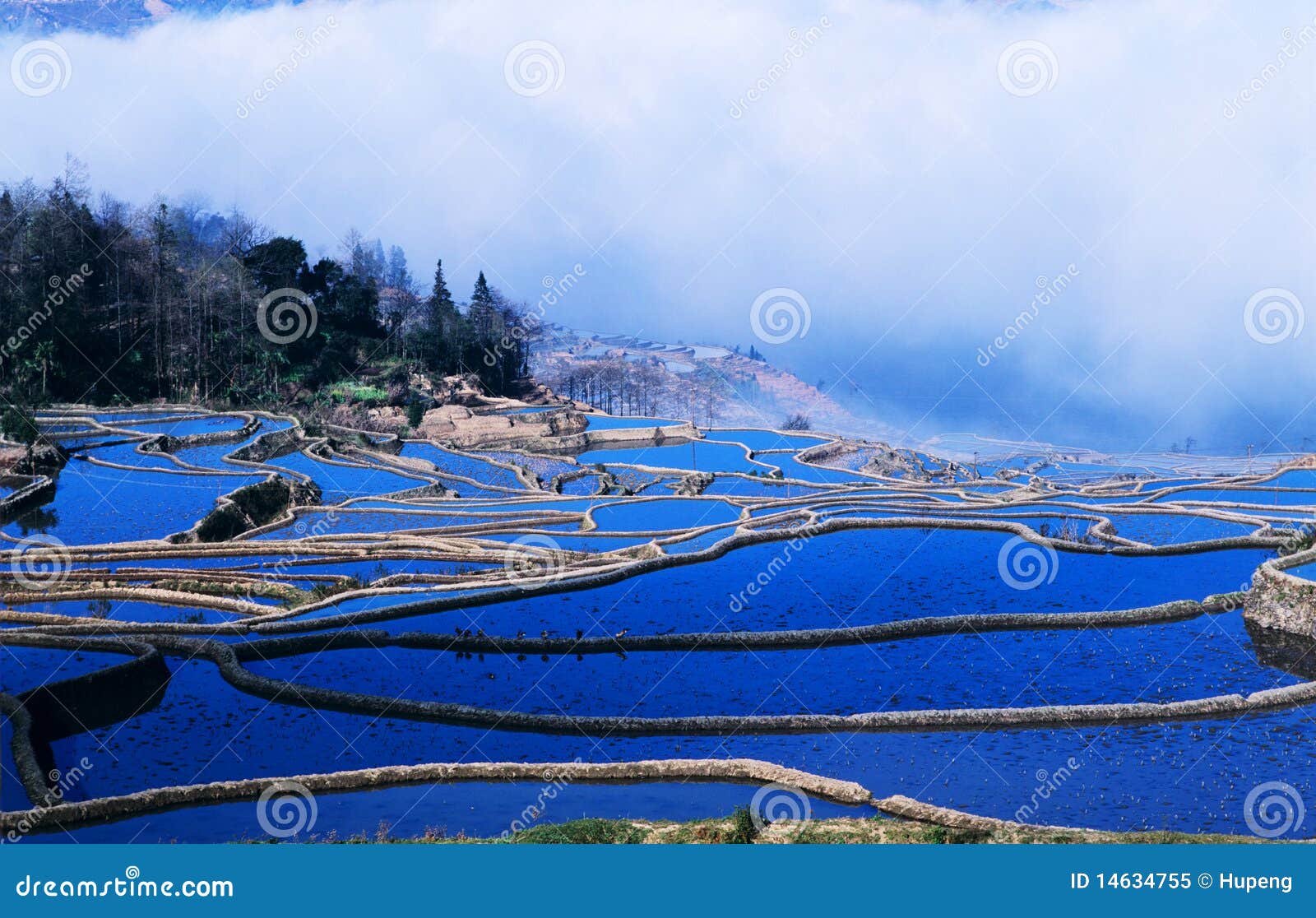Blue Rice Terraces of Yuanyang Stock Image - Image of country, chinese ...