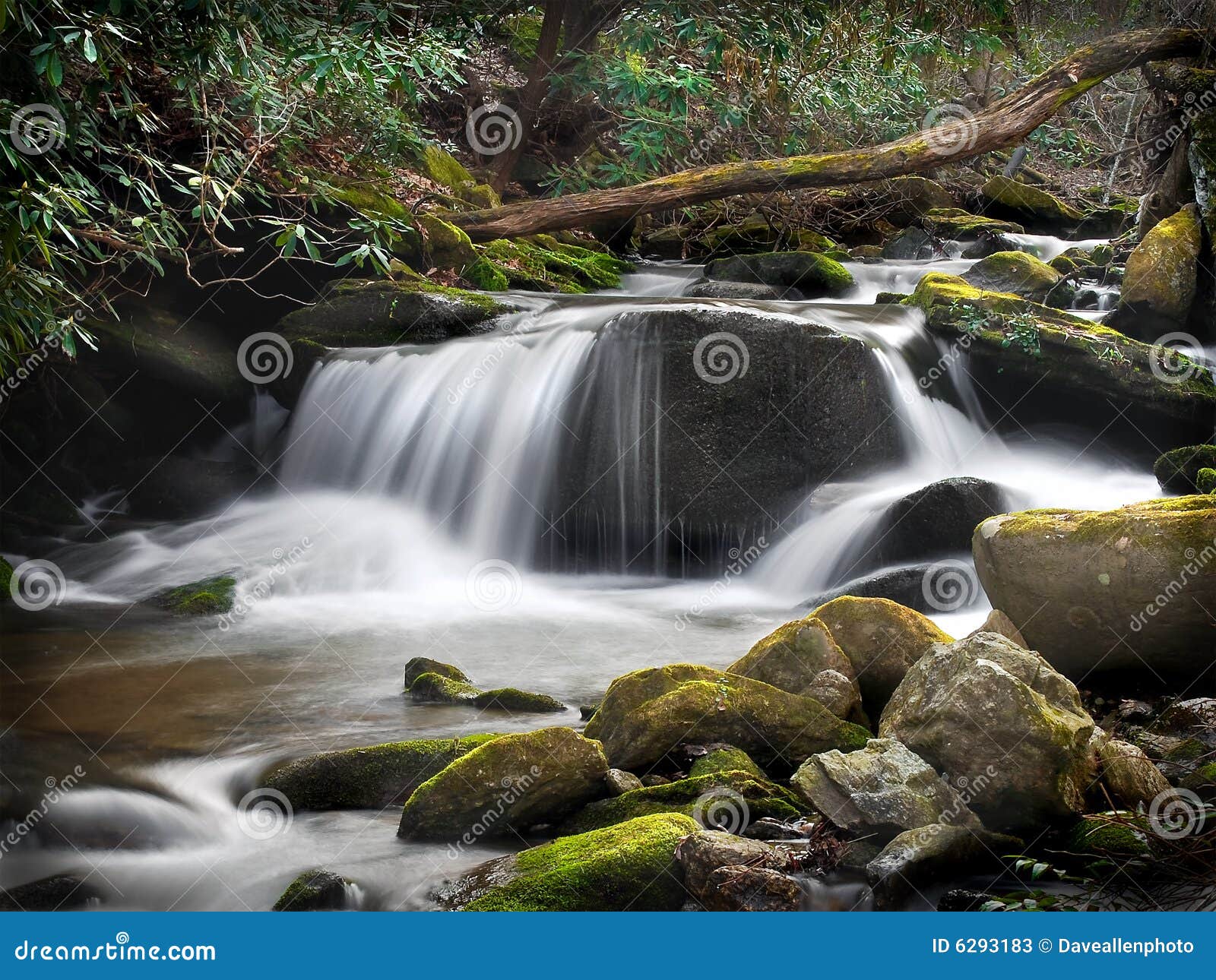 Blue Ridge Forest Waterfall with Milky Water Stock Image - Image of ...