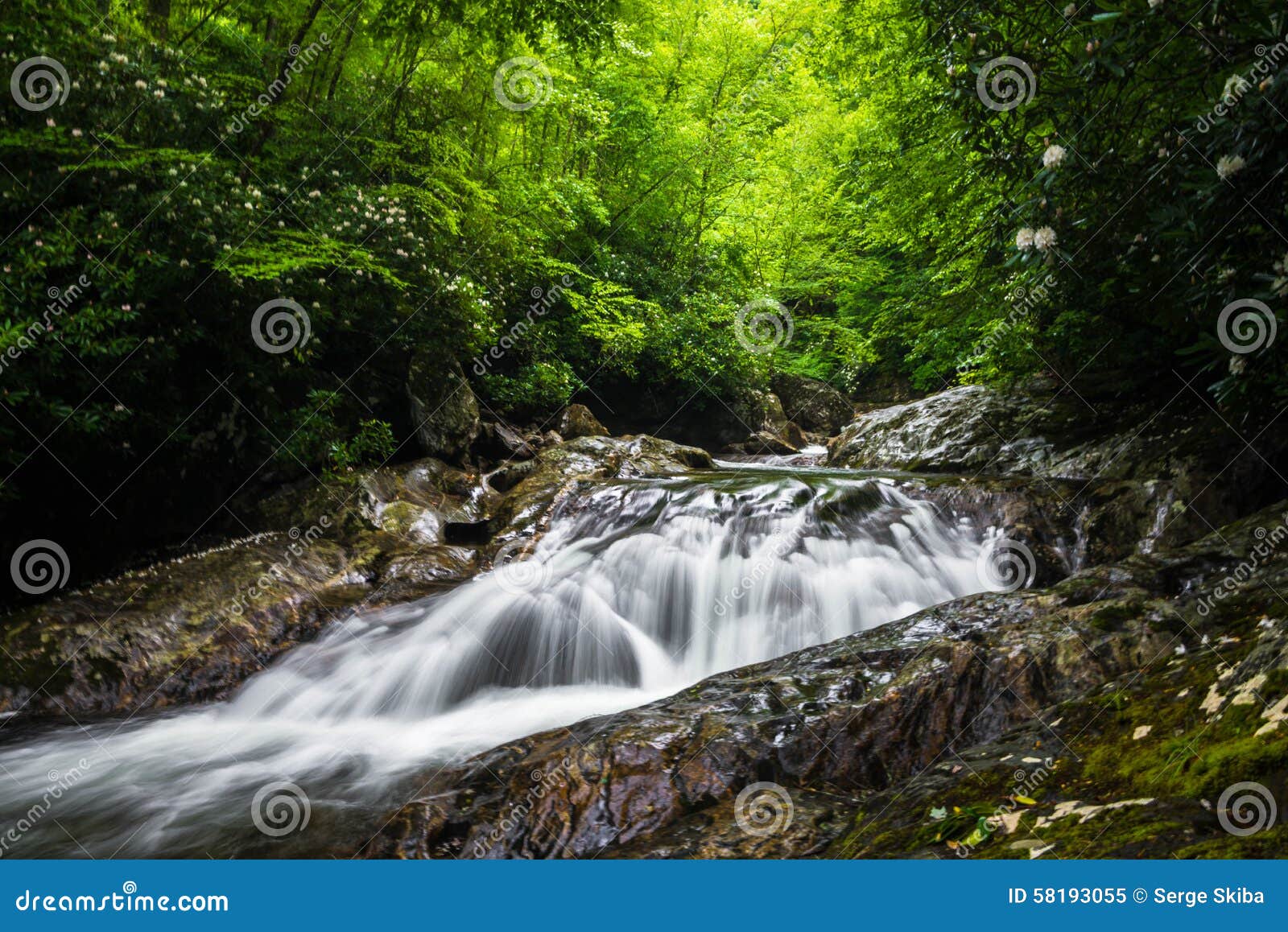 Blue Ridge Mountain River Flow 2 Stock Photos - Free & Royalty-Free ...