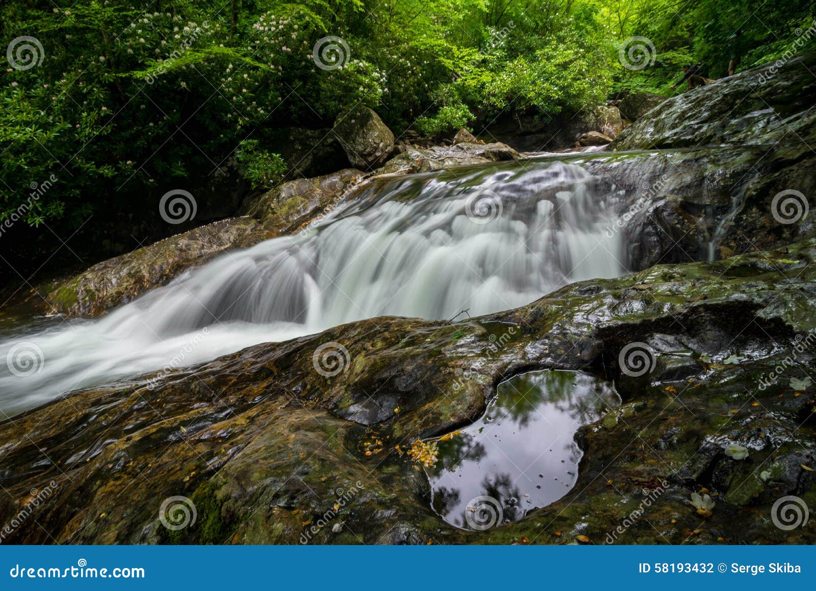 Blue Ridge Mountain Stream 3 Stock Photo - Image of park, flowing: 58193432