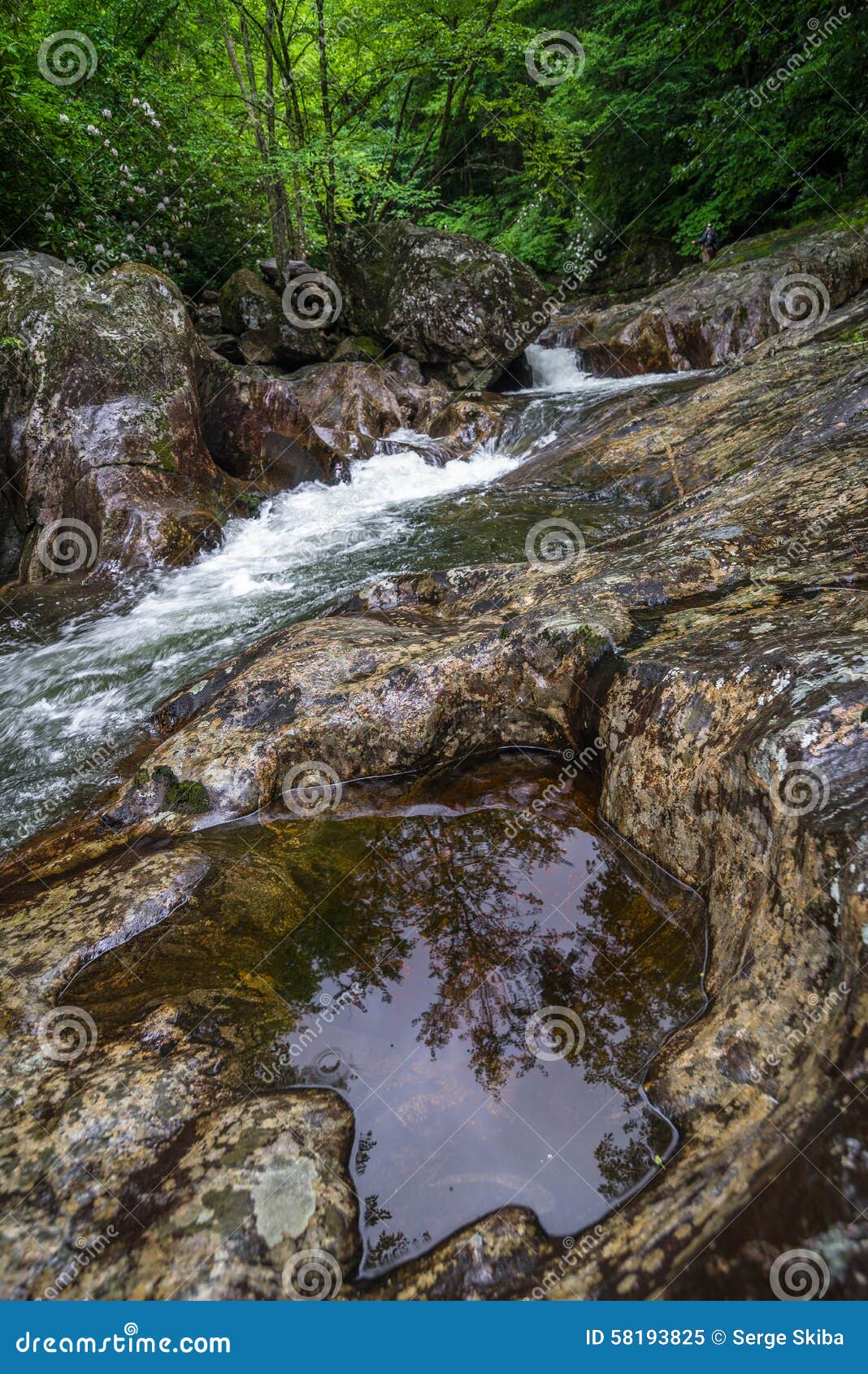 Blue Ridge Mountain Stream 4 Stock Image - Image of nature, park: 58193825