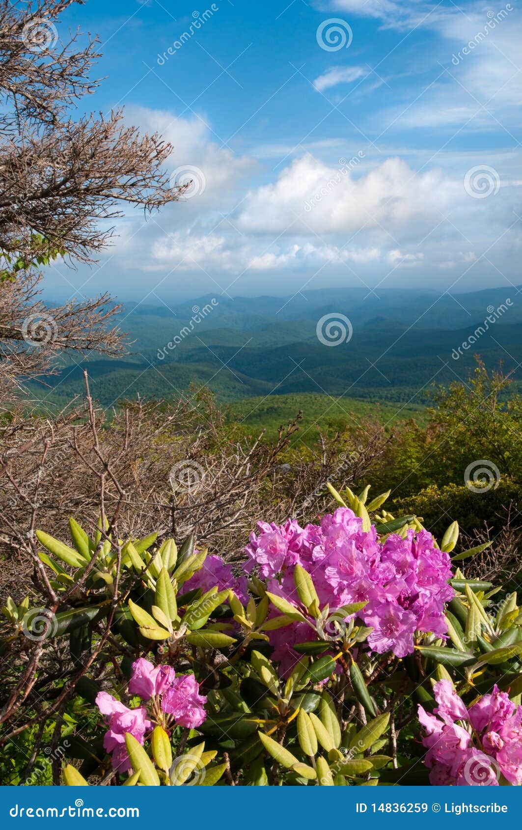 Blue Ridge Mountains stock image. Image of blueridge - 14836259