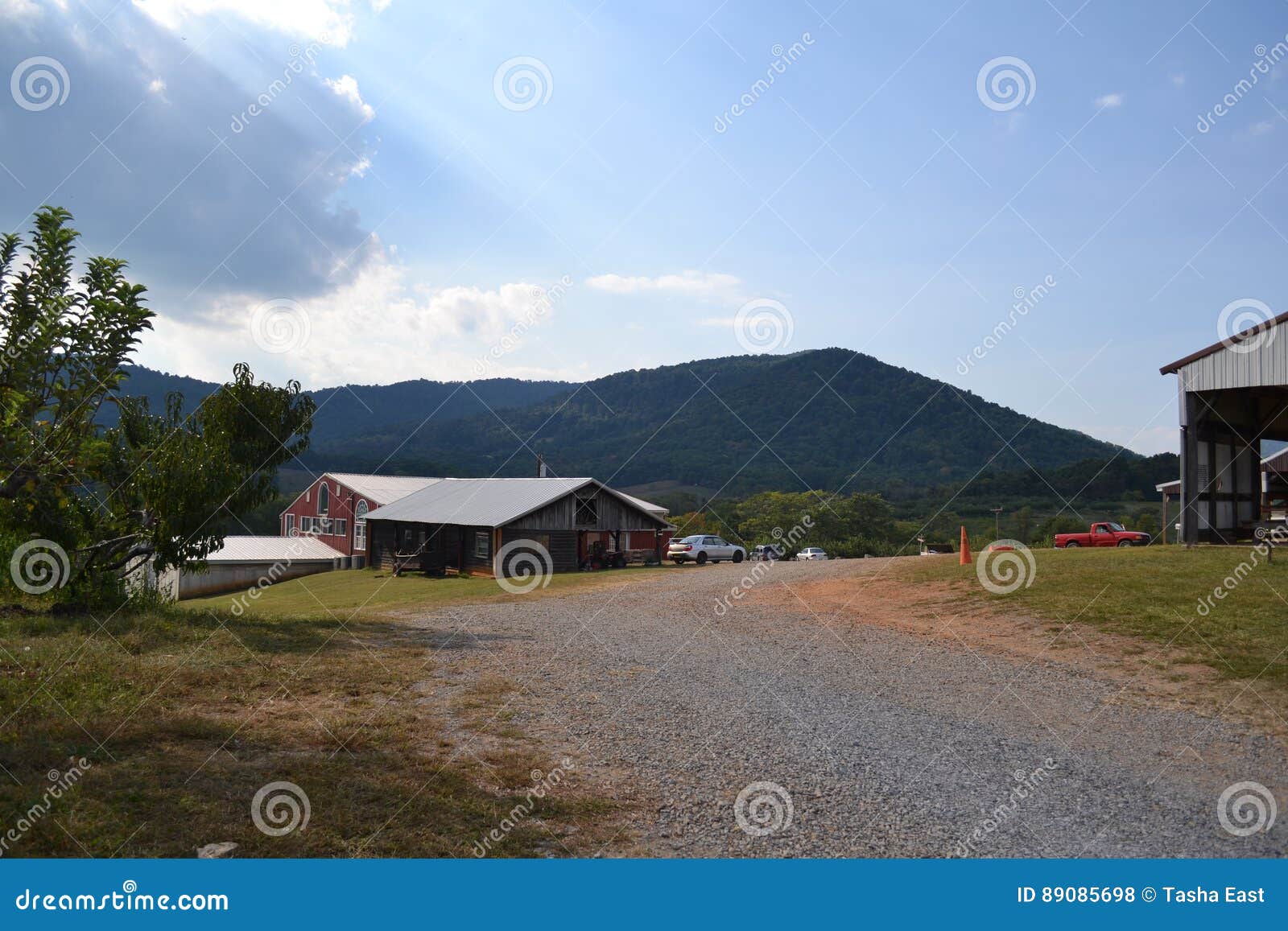 Blue Ridge Mountains Backdrop at Apple Orchard Stock Photo - Image of ...