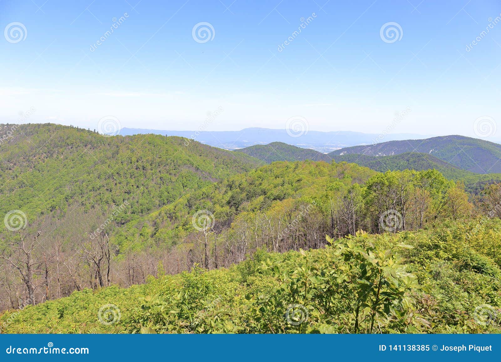 Blue Ridge Mountains stock image. Image of scenery, forest - 141138385