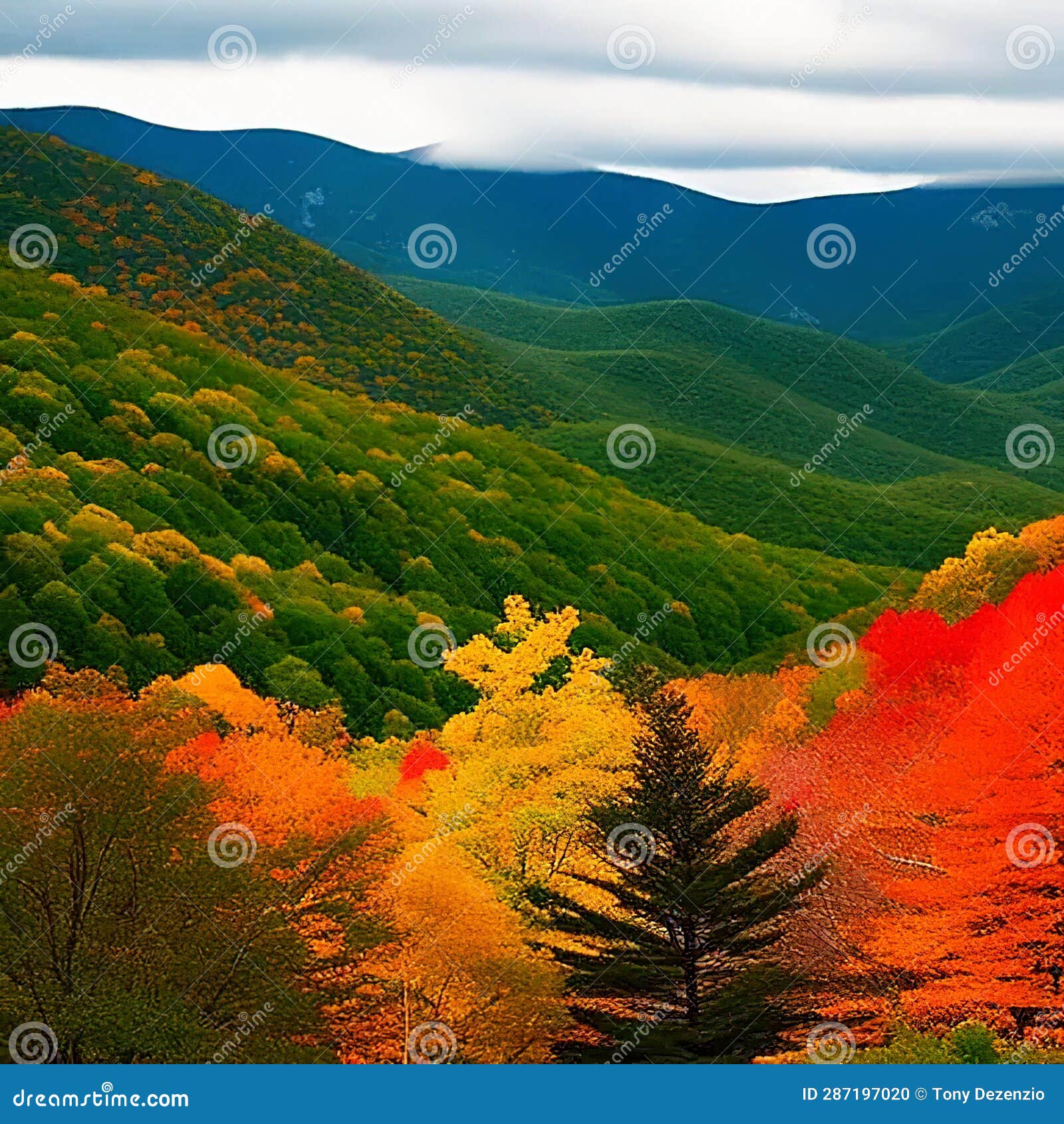 Blue Ridge Mountains Scenic View Stock Photo - Image of smoky ...
