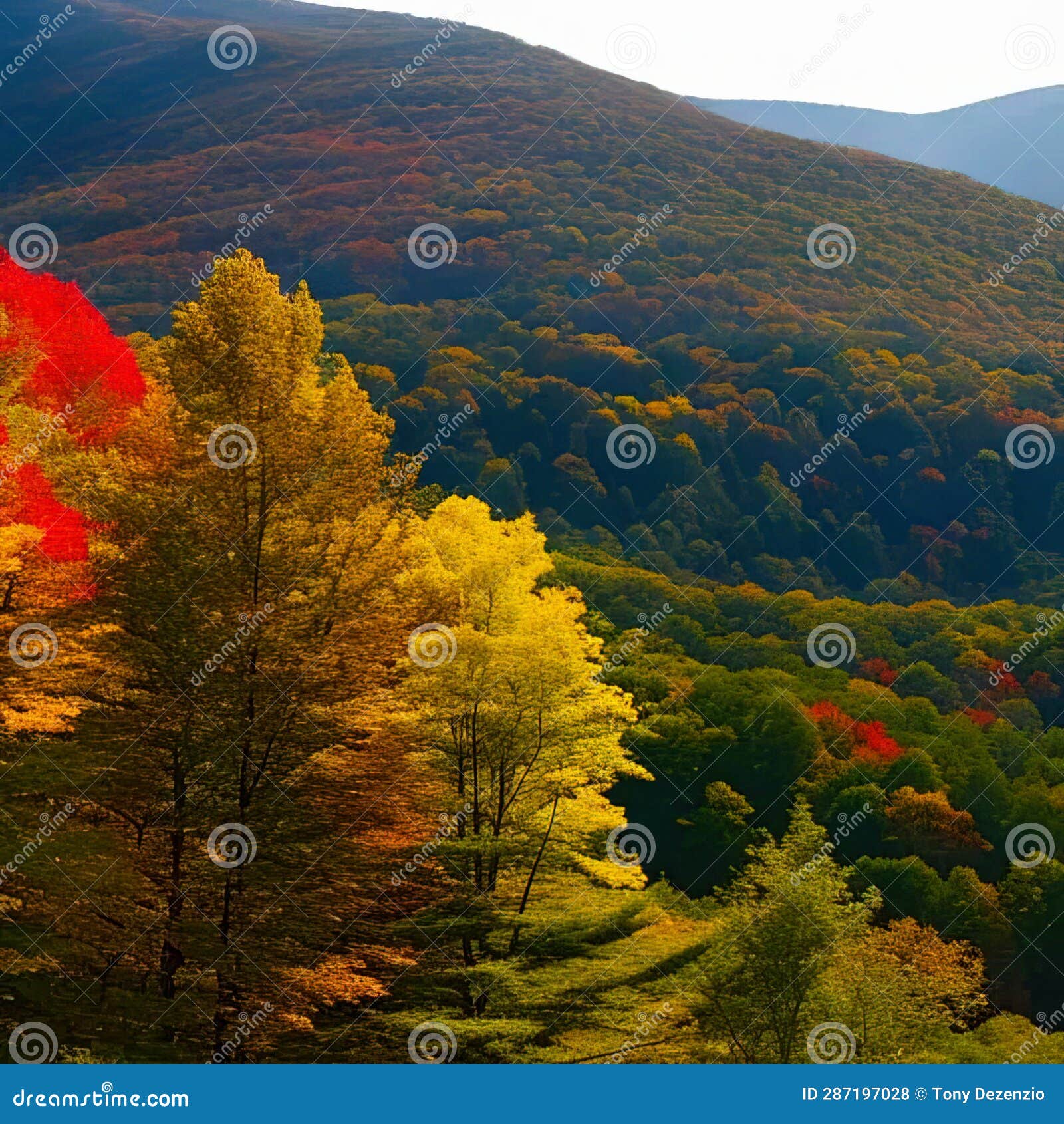 Blue Ridge Mountains Scenic View Stock Photo - Image of mountains ...