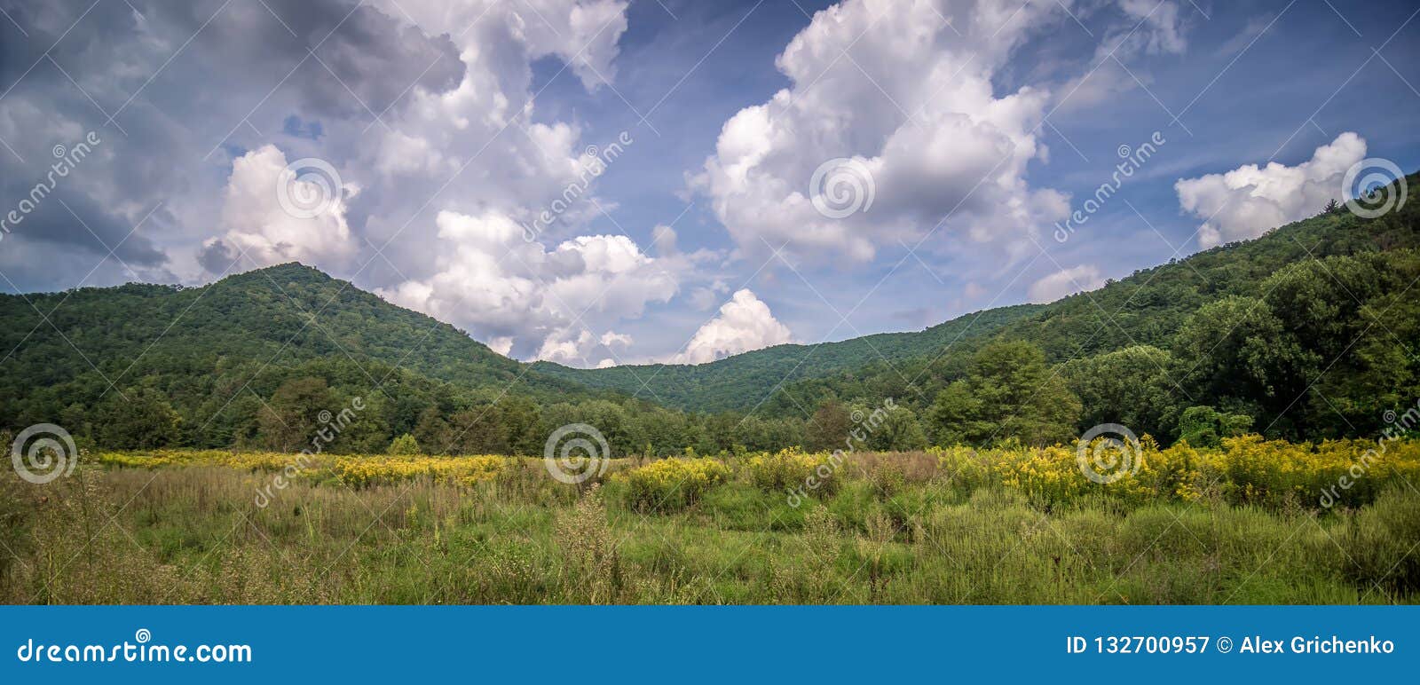 Blue Ridge Mountains Nature in Summer Stock Image - Image of parkway ...