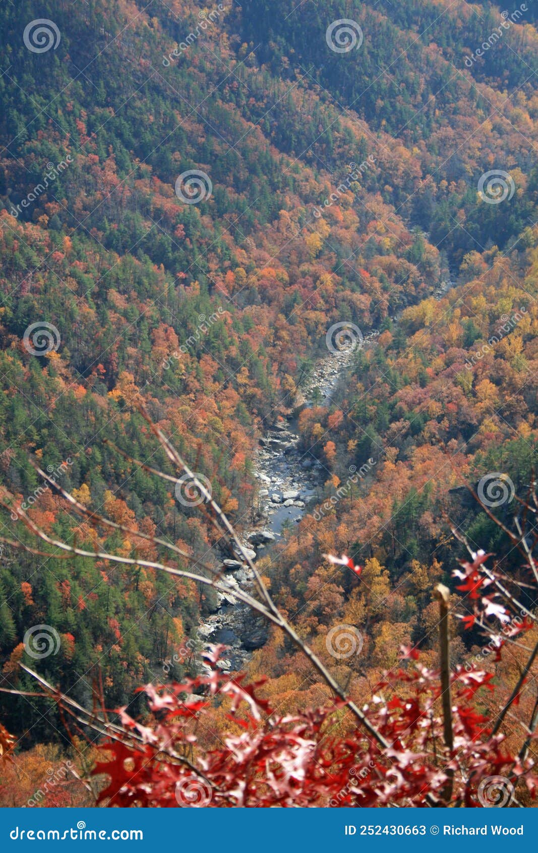 Linville Gorge in Fall, Blue Ridge Mountains, North Carolina Stock ...