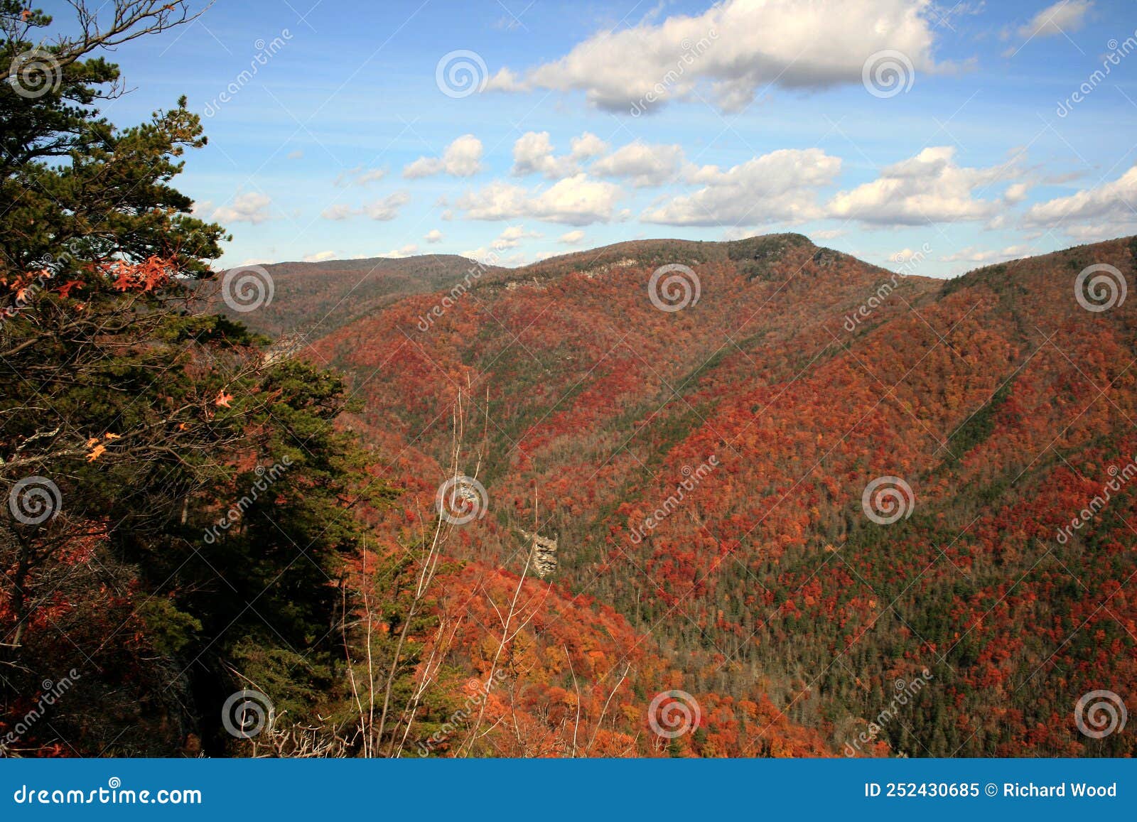 Linville Gorge in Fall, Blue Ridge Mountains, North Carolina Stock ...