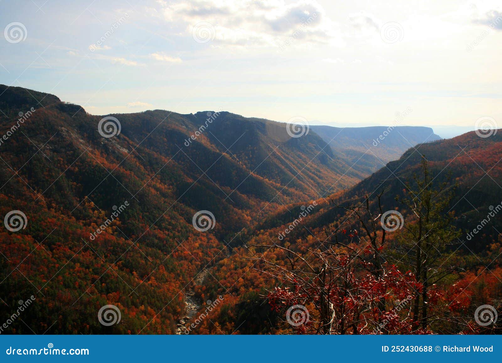 Linville Gorge in Fall, Blue Ridge Mountains, North Carolina Stock ...