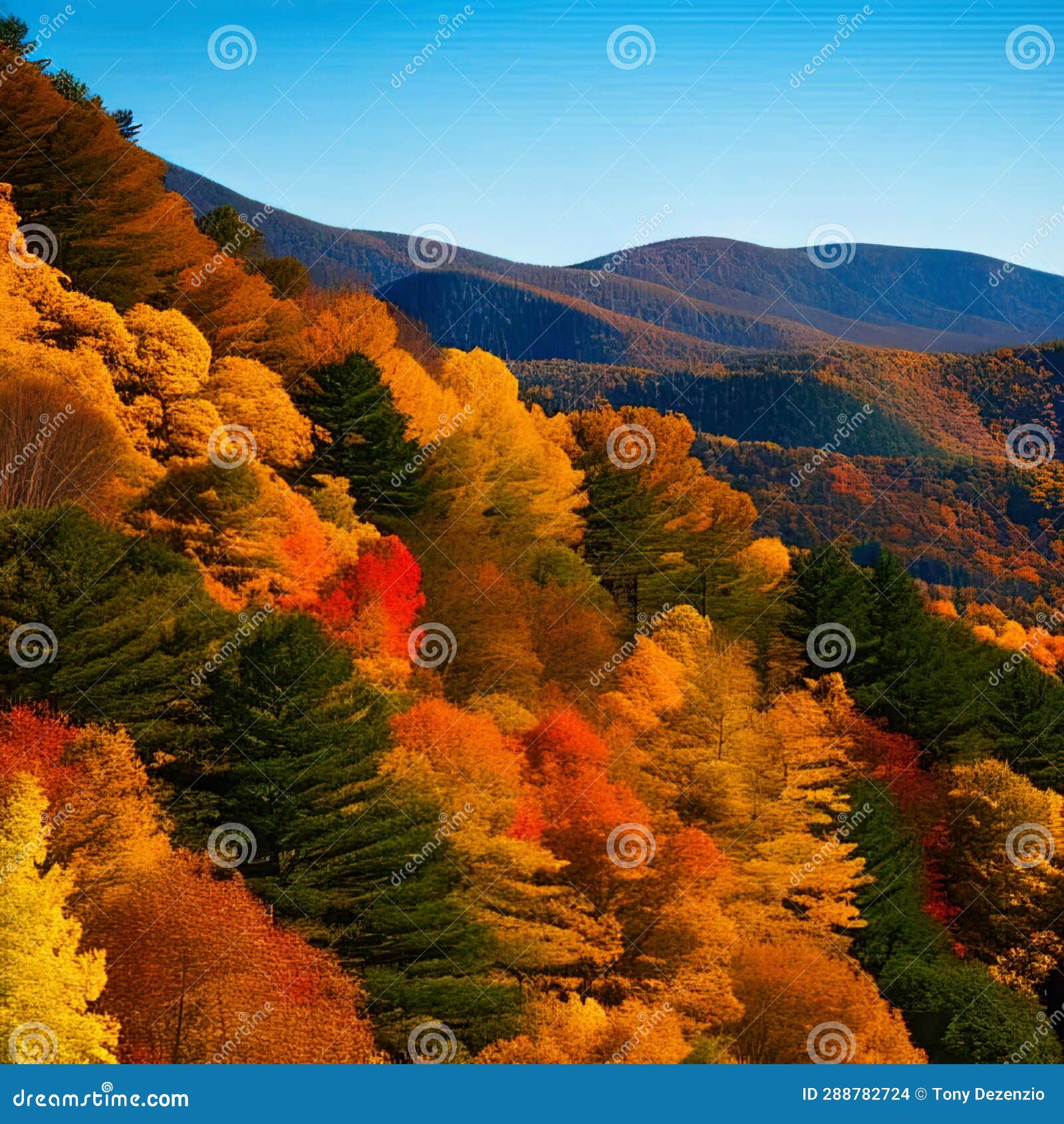 Blue Ridge Mountains Scenic View Stock Photo - Image of scenics ...