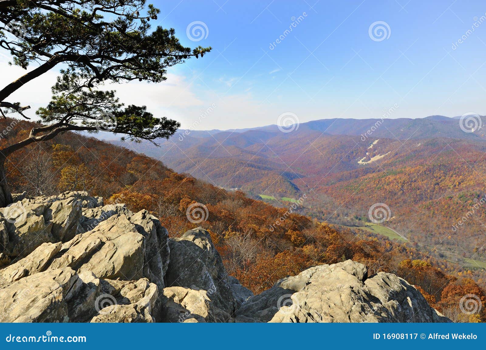 Blue Ridge Mountains View from Ravens Roost Stock Image - Image of ...