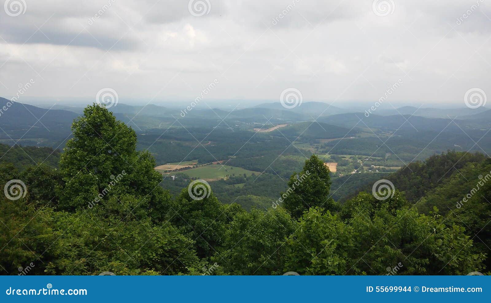 Blue ridge stock photo. Image of vegetation, wilderness - 55699944