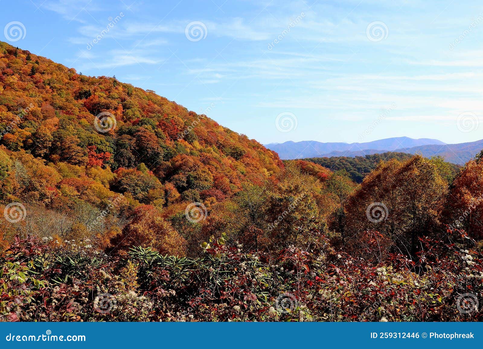 Blue Ridge Parkway in Fall with All the Colors of Leaves Stock Photo ...