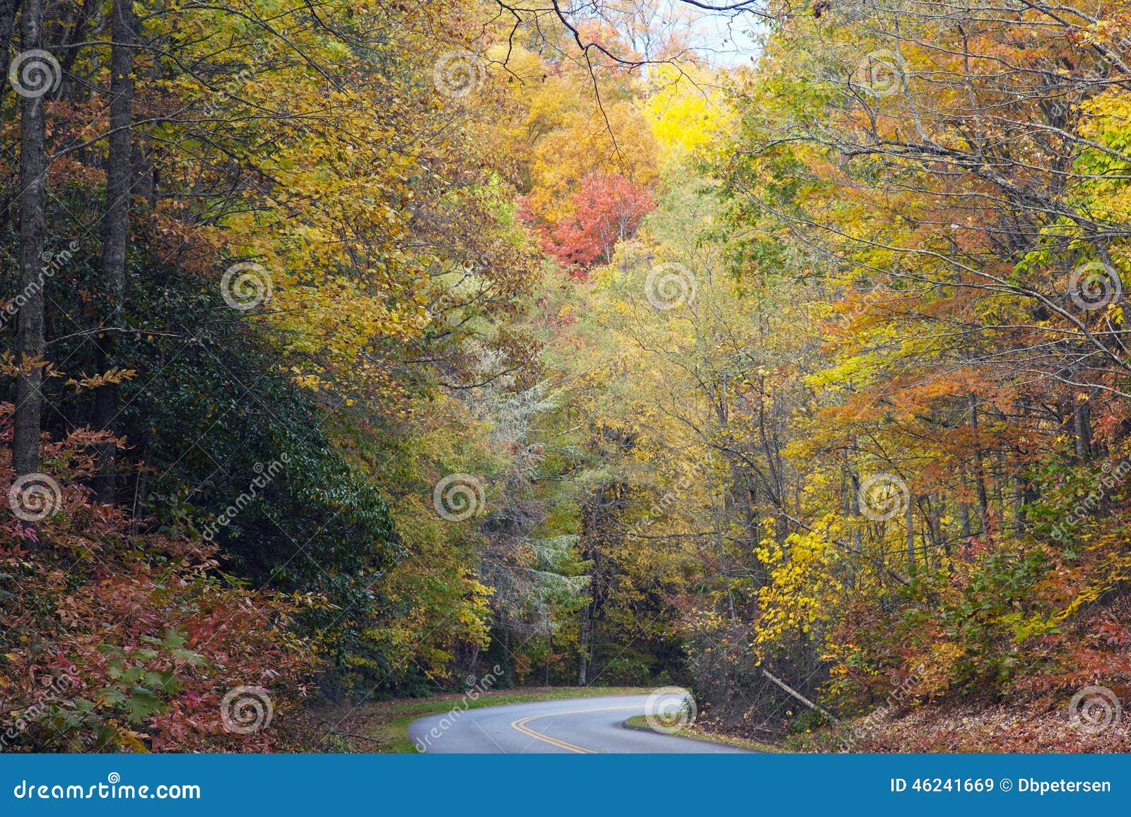Blue Ridge Parkway Fall Colors in North Carolina Stock Image - Image of ...