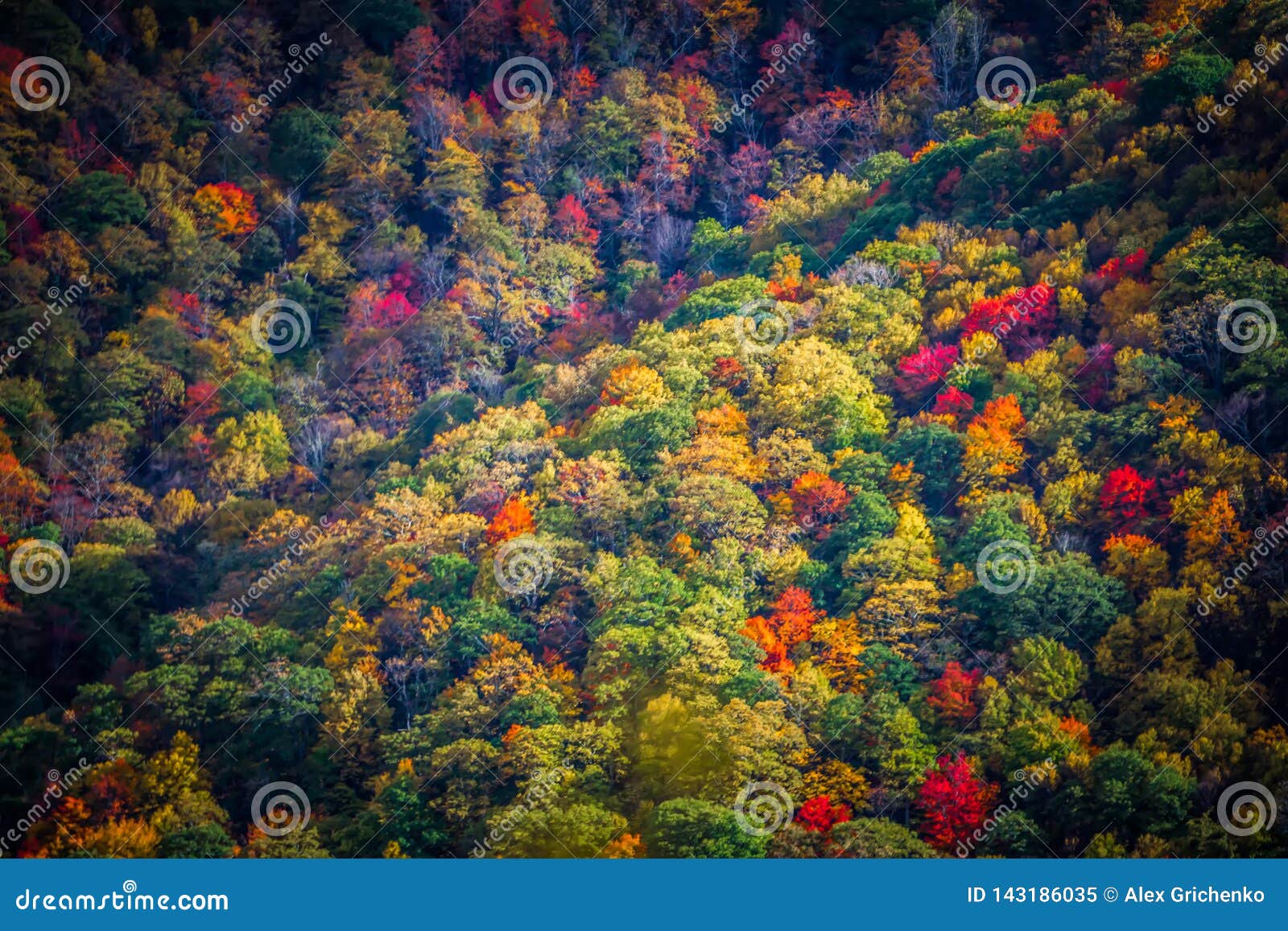 Blue Ridge and Smoky Mountains Changing Color in Fall Stock Image ...