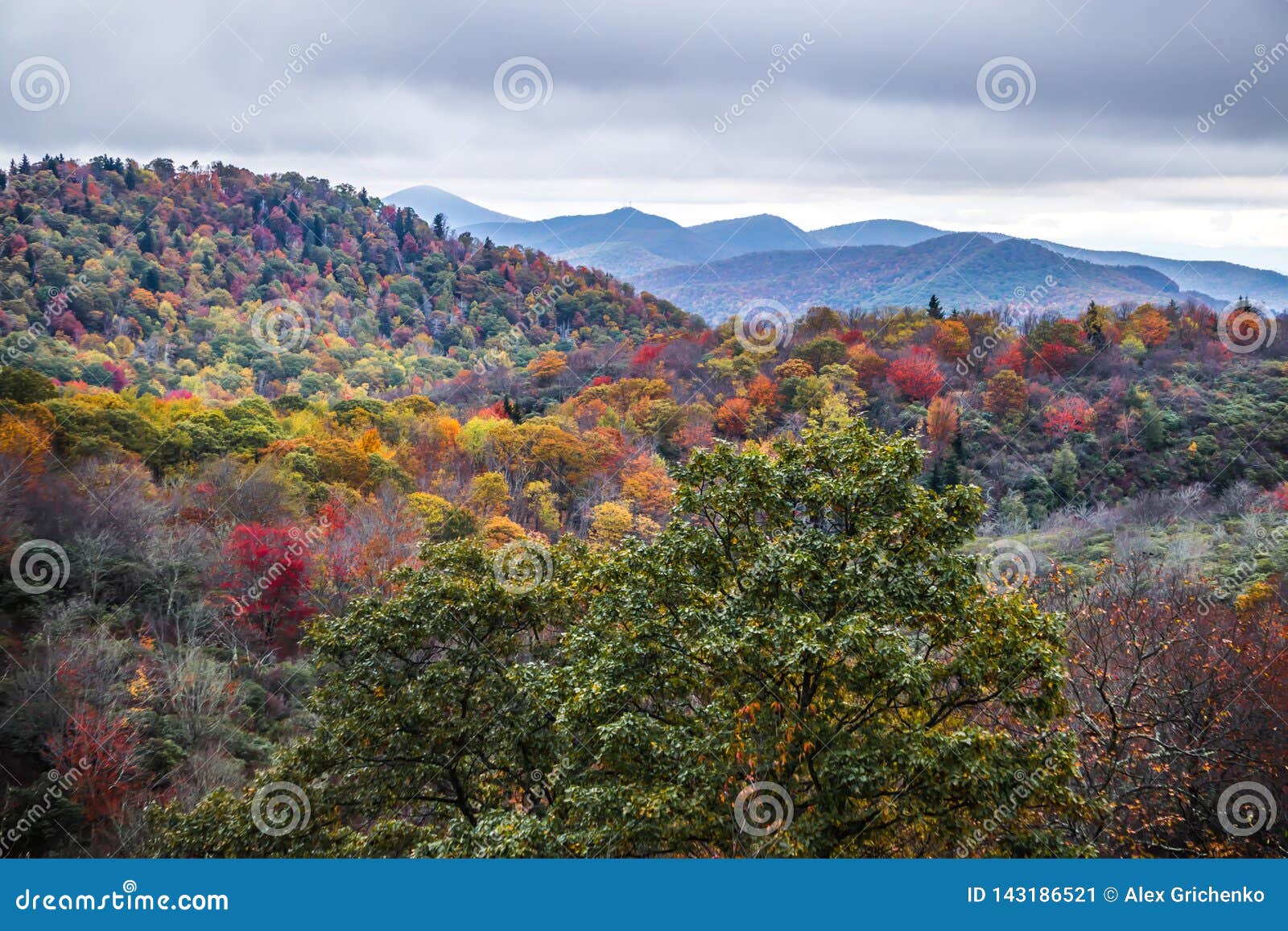Blue Ridge and Smoky Mountains Changing Color in Fall Stock Image ...