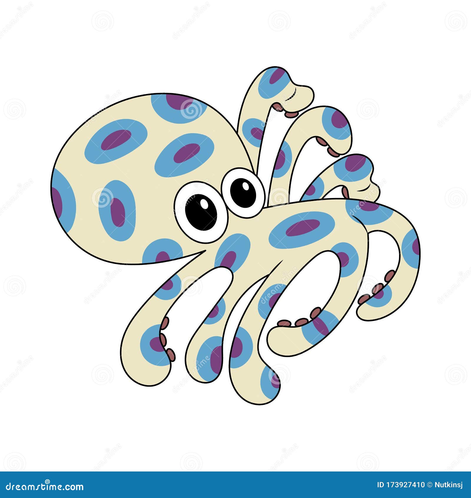 Blue Ringed Octopus Drawing Blue Ringed Octopus Drawing