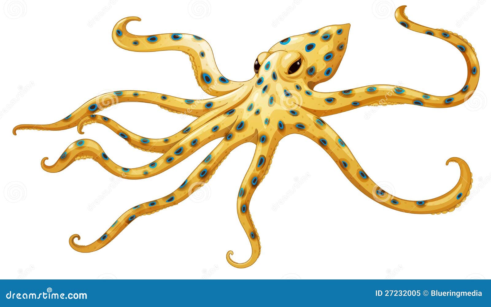 Blue Ringed Octopus Stock Illustrations – 11 Blue Ringed Octopus Stock ...