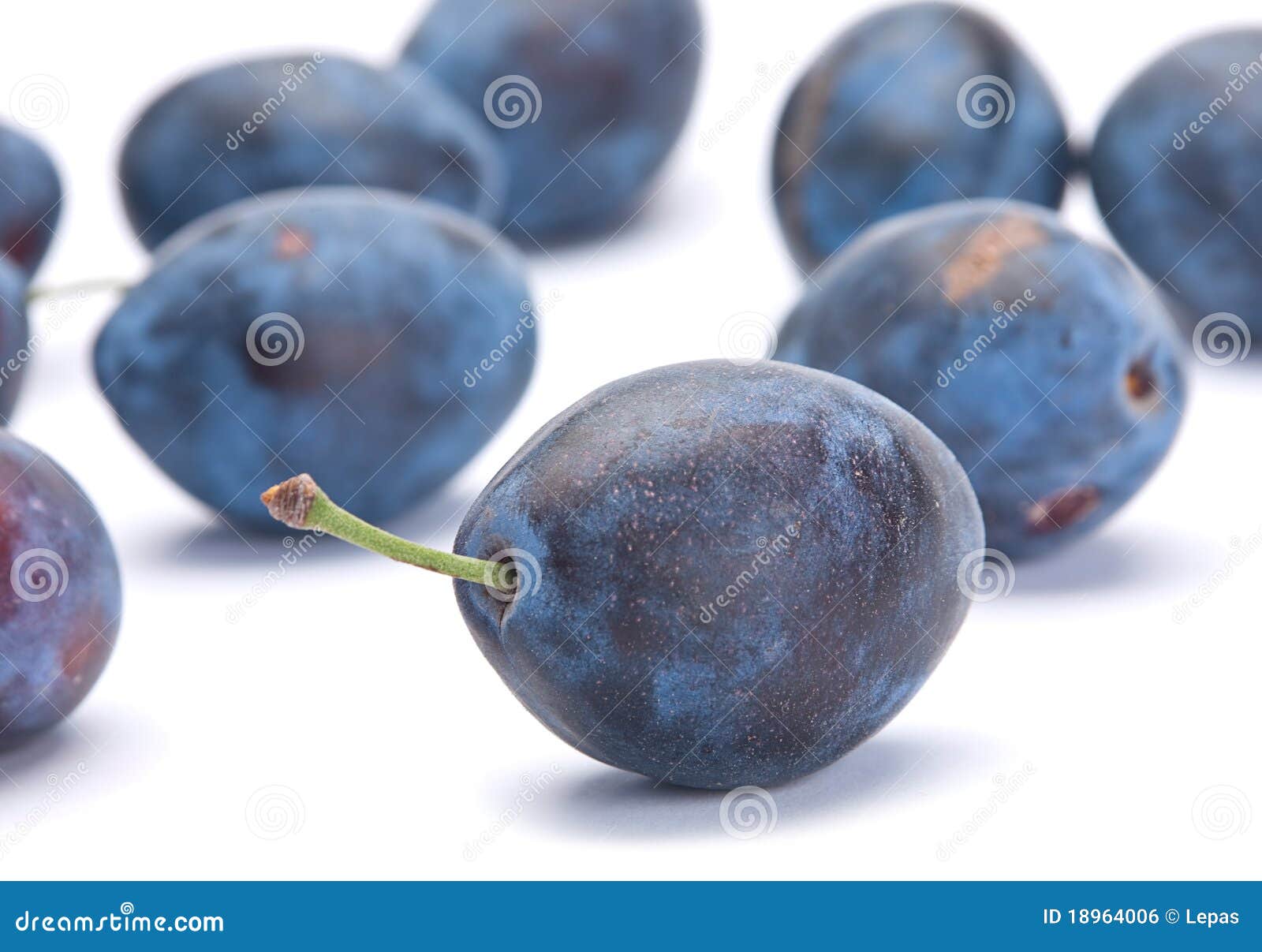 Blue ripe plum stock photo. Image of white, isolated - 18964006