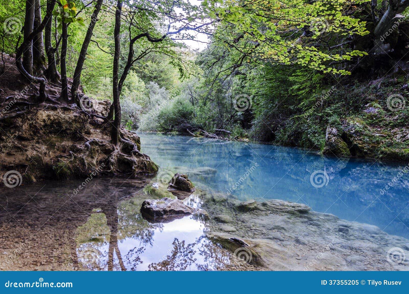 The blue river stock image. Image of natural, wood, nice - 37355205