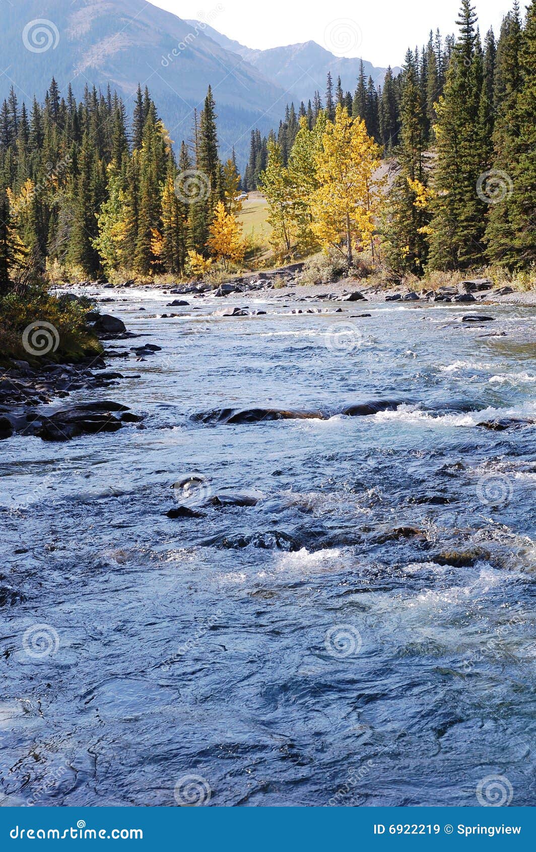 Blue river stock image. Image of pine, bank, plants, coastline - 6922219