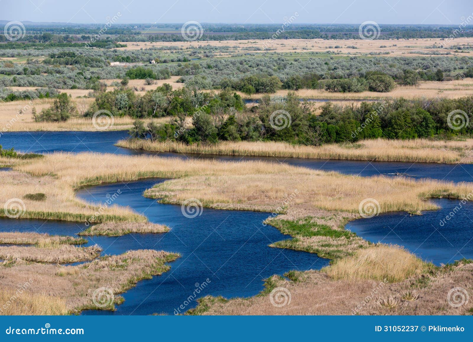 Blue river delta stock image. Image of leaves, boards - 31052237